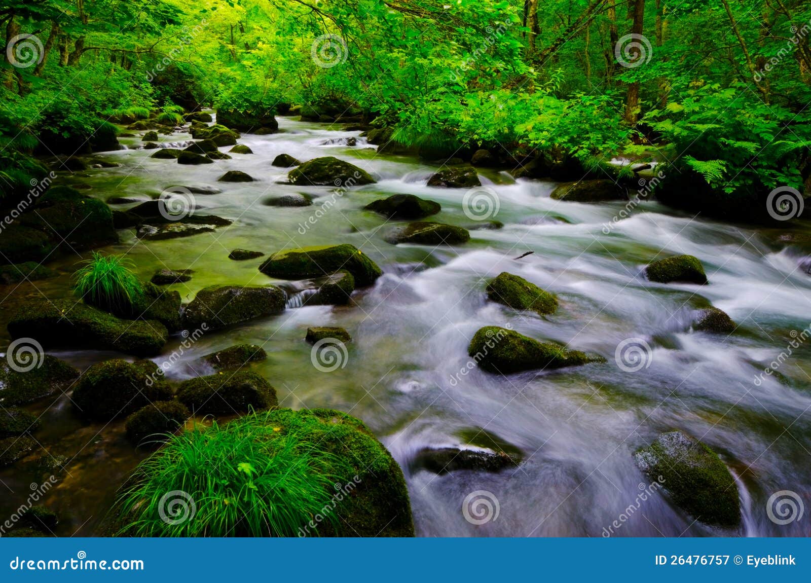 Mountain stream in japan stock image. Image of oirasekeiryuu - 26476757