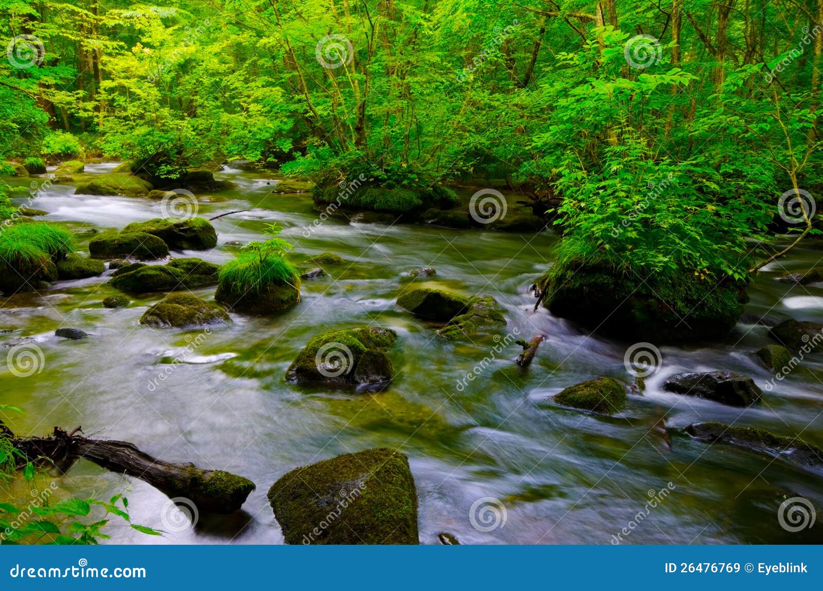Mountain stream in japan stock image. Image of reflected - 26476769