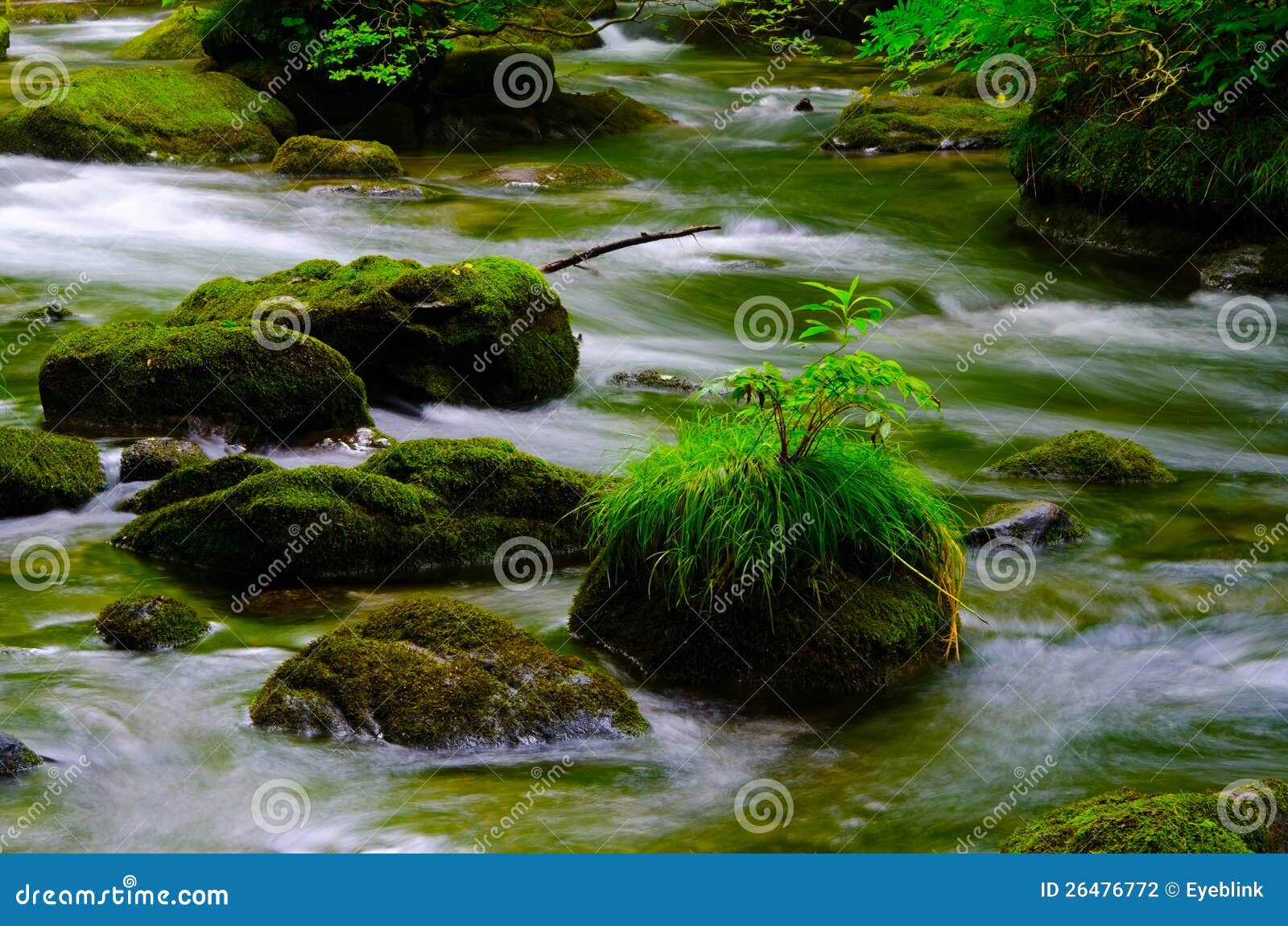 Mountain stream in japan stock photo. Image of fresh - 26476772