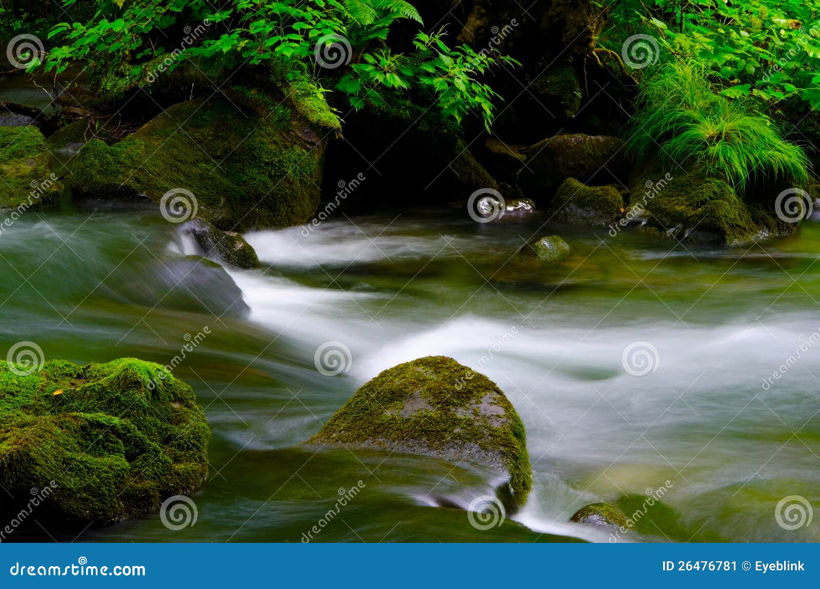 Mountain stream in japan stock image. Image of summer - 26476781