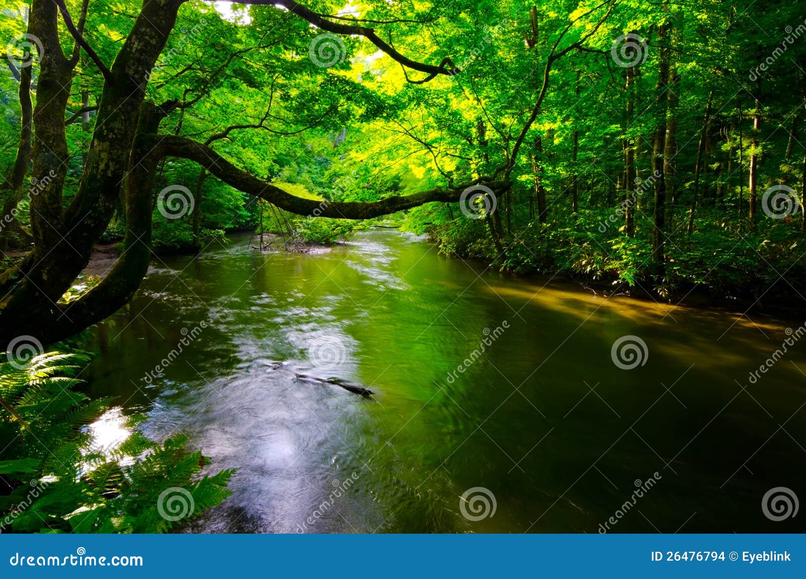Mountain stream in japan stock photo. Image of shine - 26476794