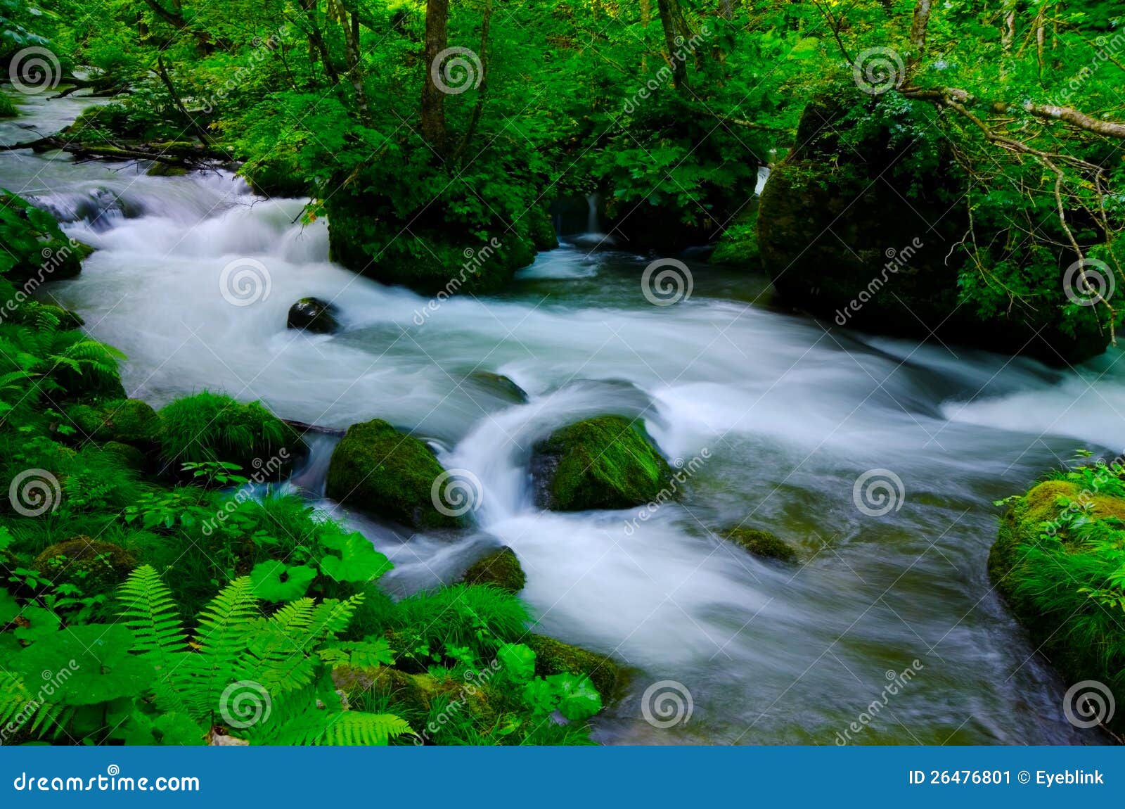 Mountain stream in japan stock image. Image of mountain - 26476801