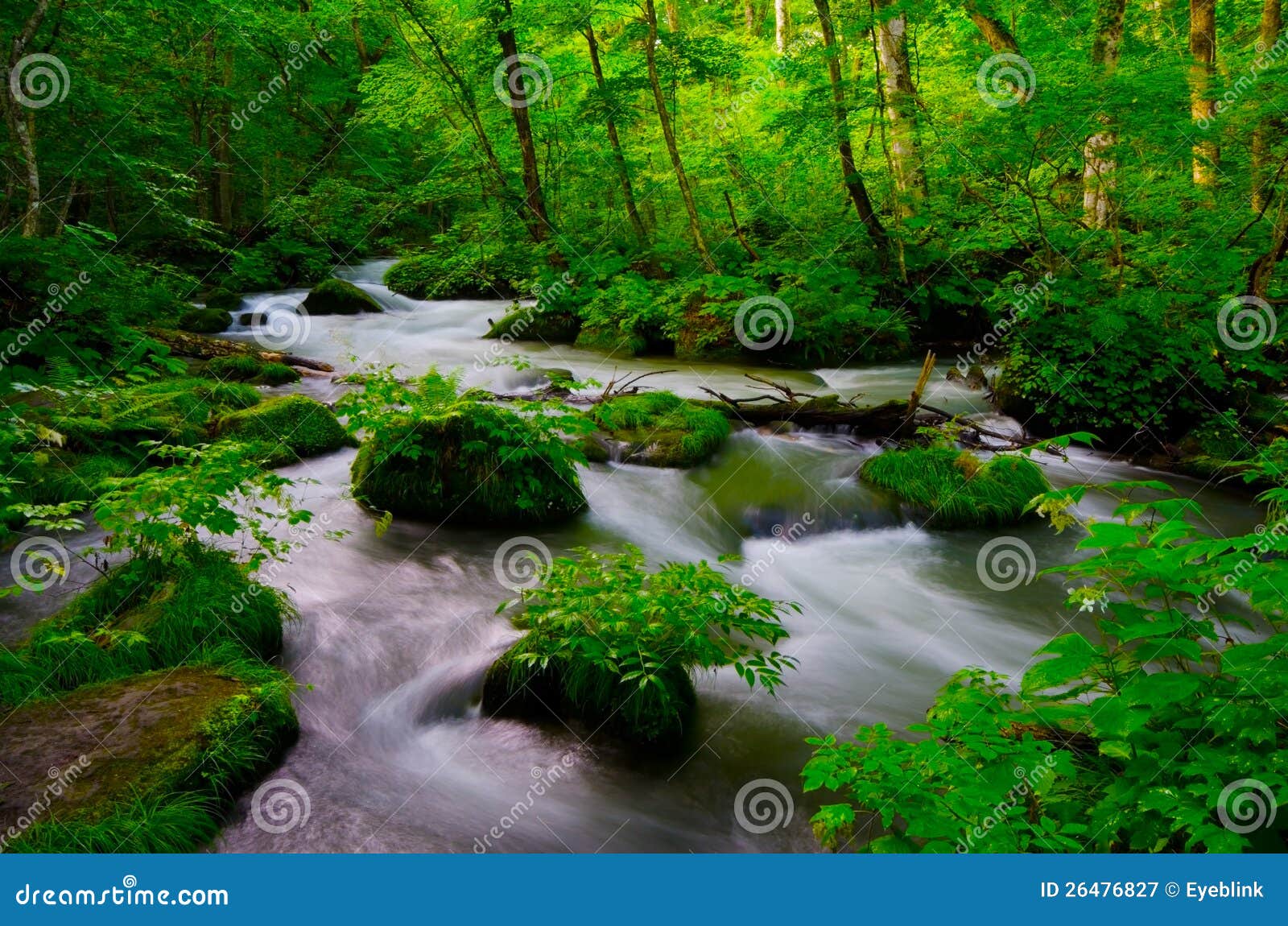 Mountain stream in japan stock image. Image of stream - 26476827
