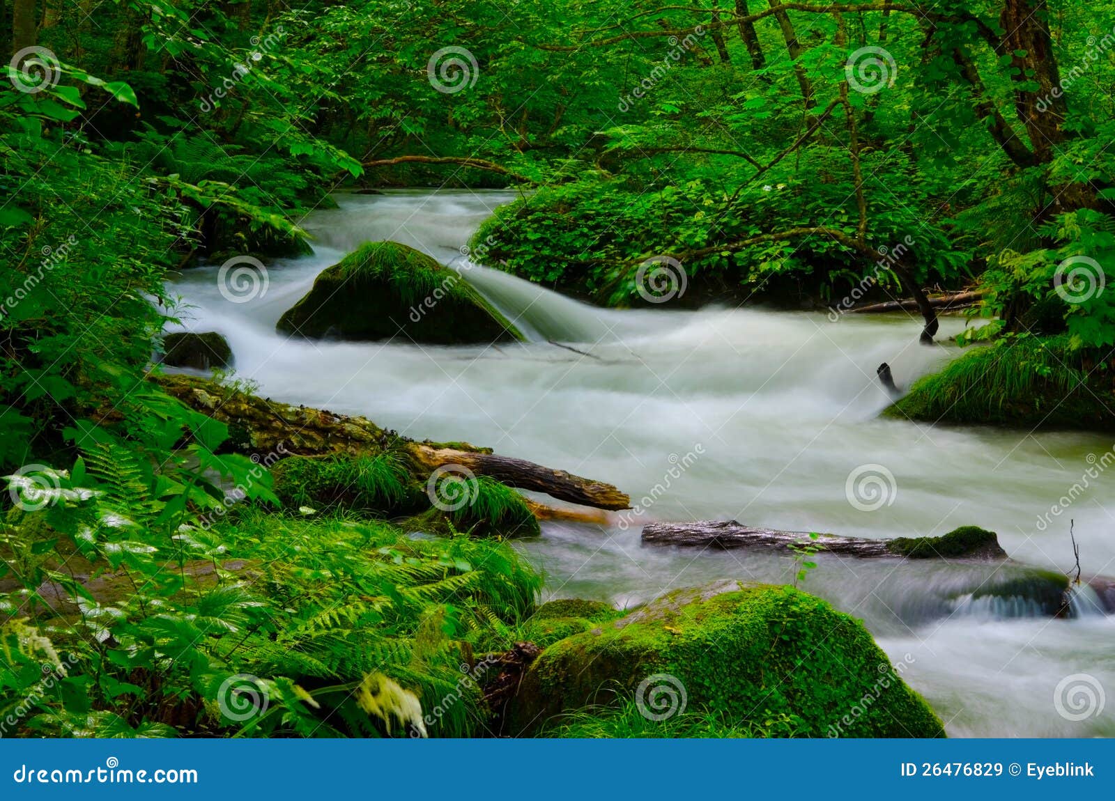 Mountain stream in japan stock image. Image of towada - 26476829