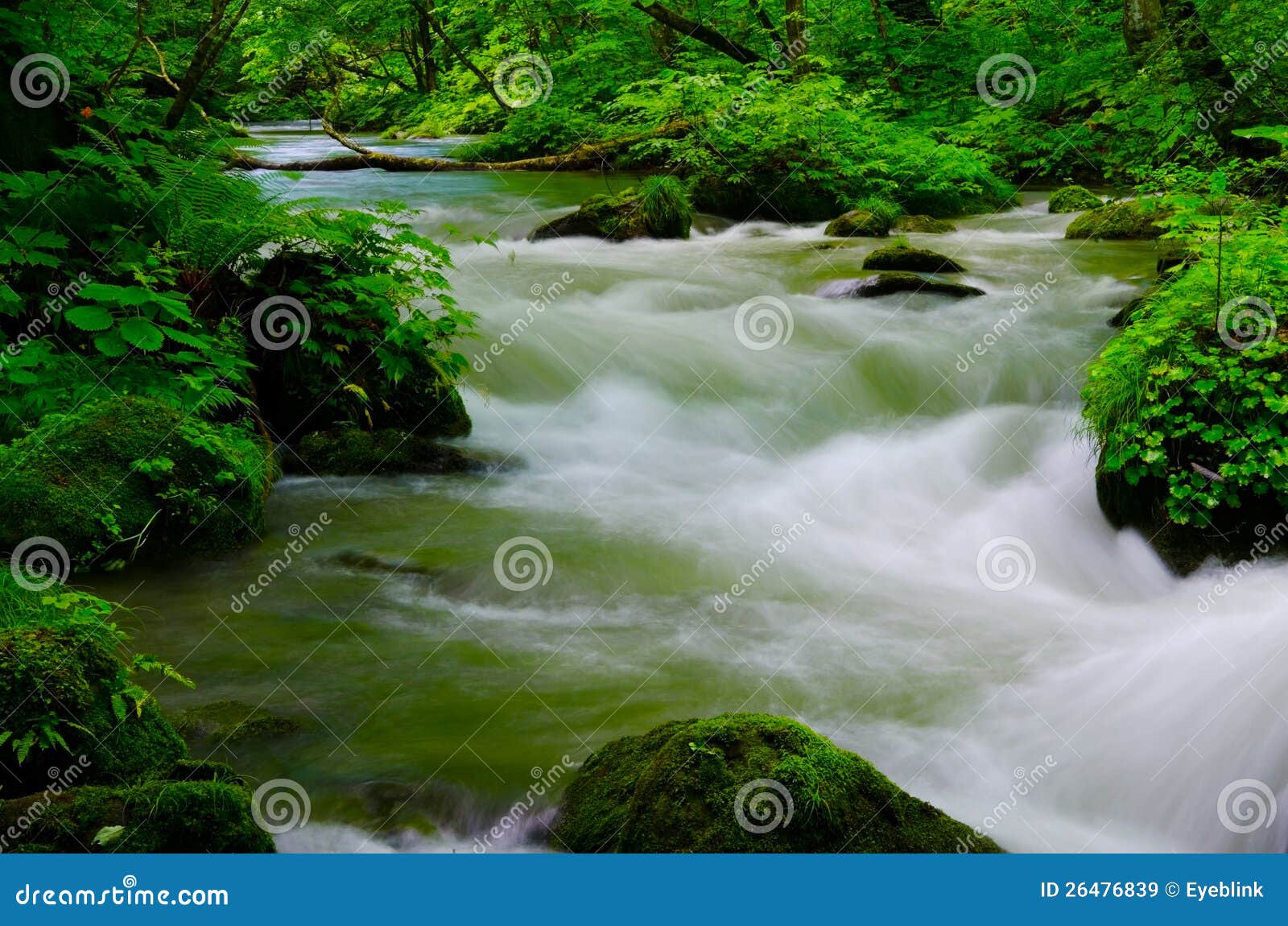 Mountain stream in japan stock image. Image of oirase - 26476839