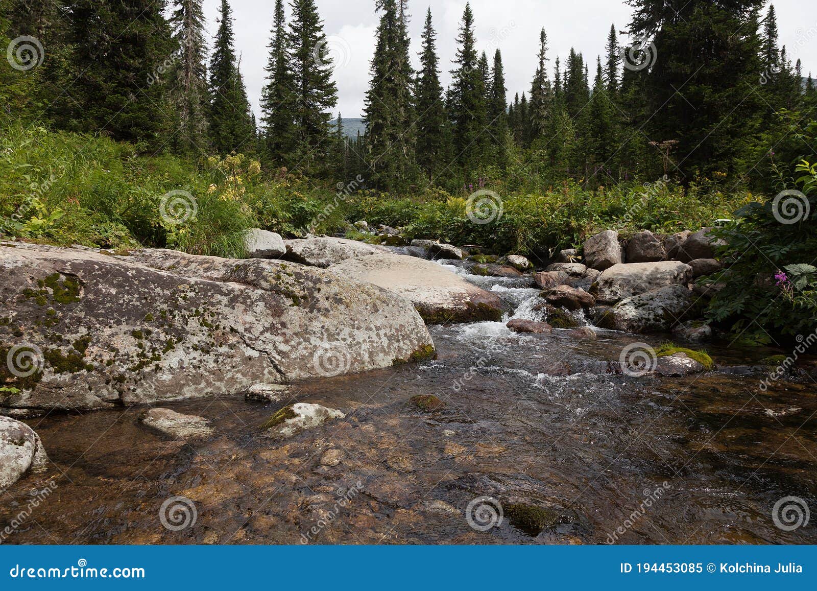 Mountain Stream with Large Stones Stock Image - Image of waterfall ...