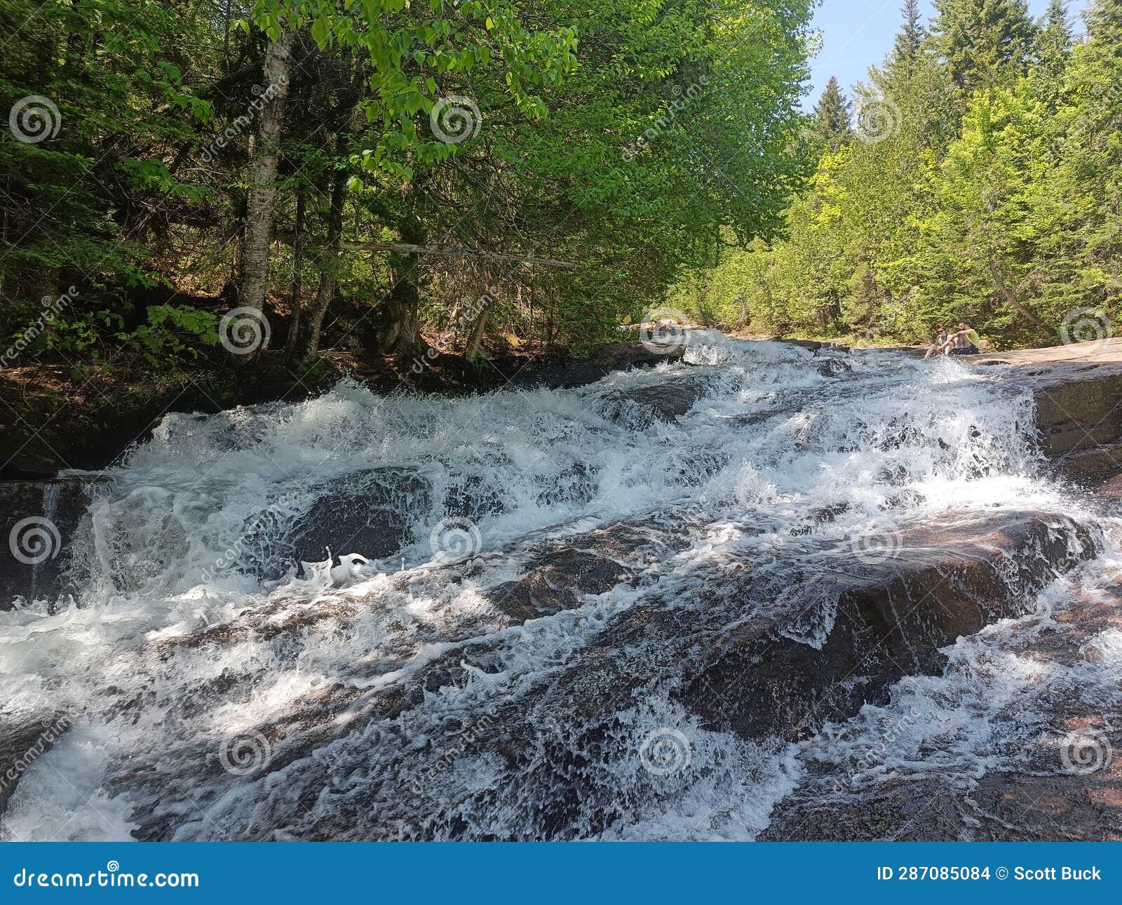 Mountain Stream Lined by Trees in Full Flow Stock Photo - Image of ...