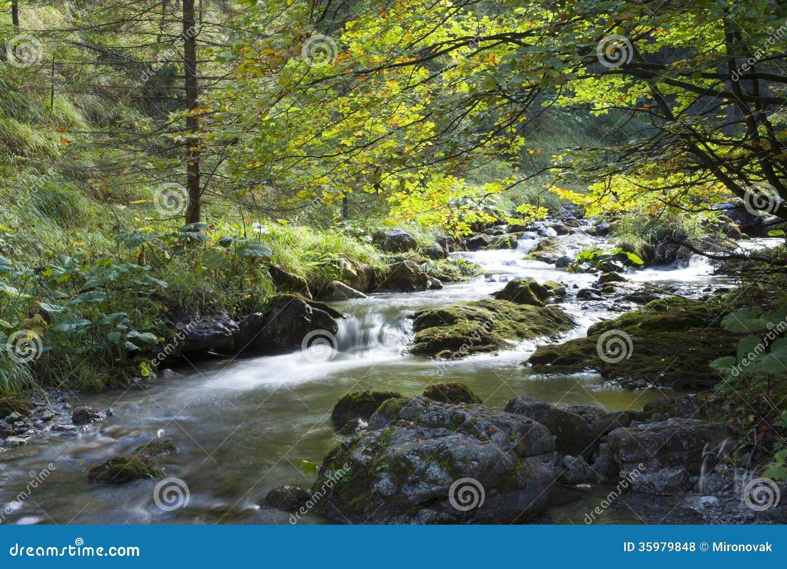 Mountain stream stock photo. Image of flow, scenic, landscape - 35979848