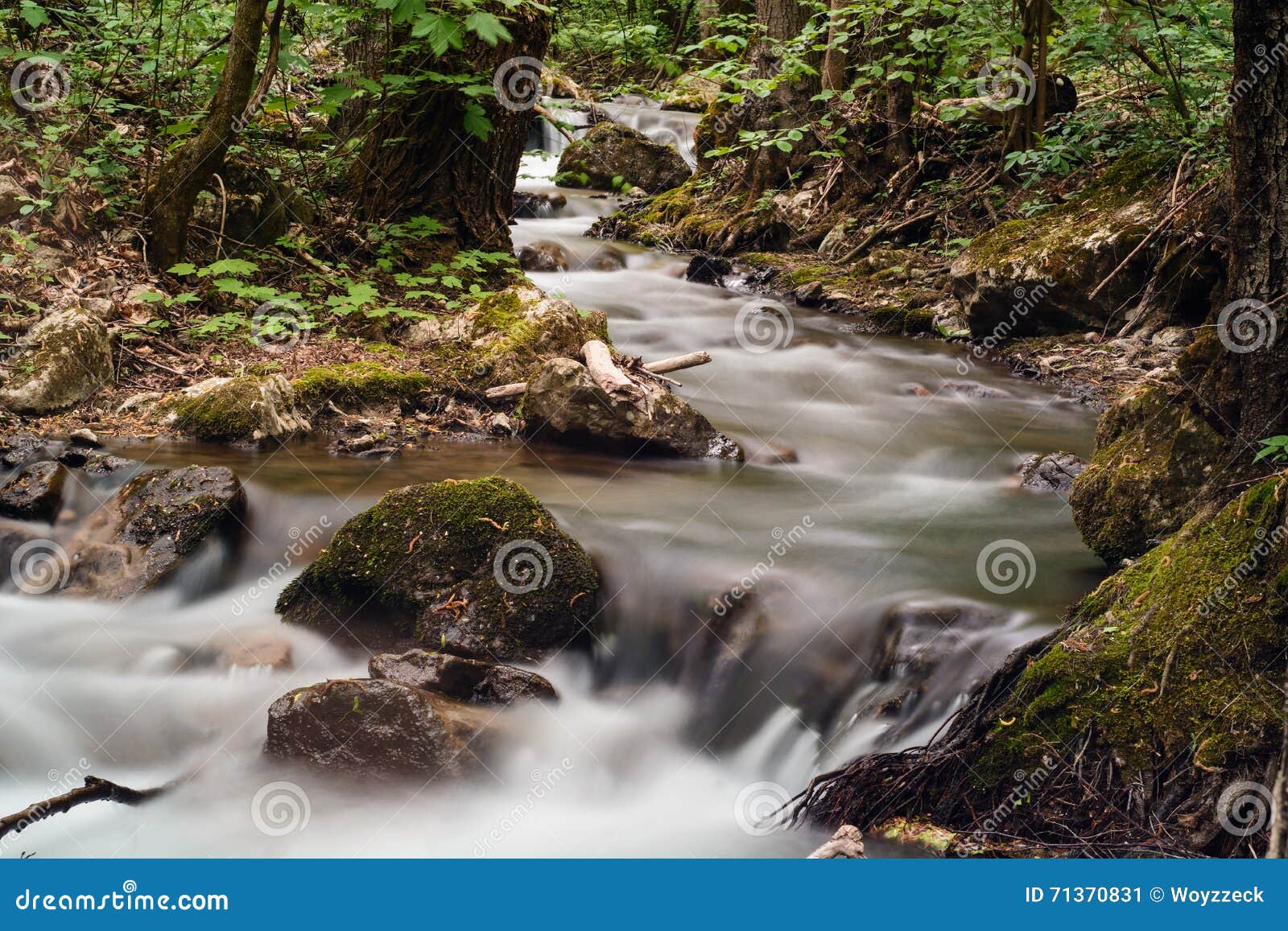 Mountain Stream with Long Exposure Stock Image - Image of brook, motion ...