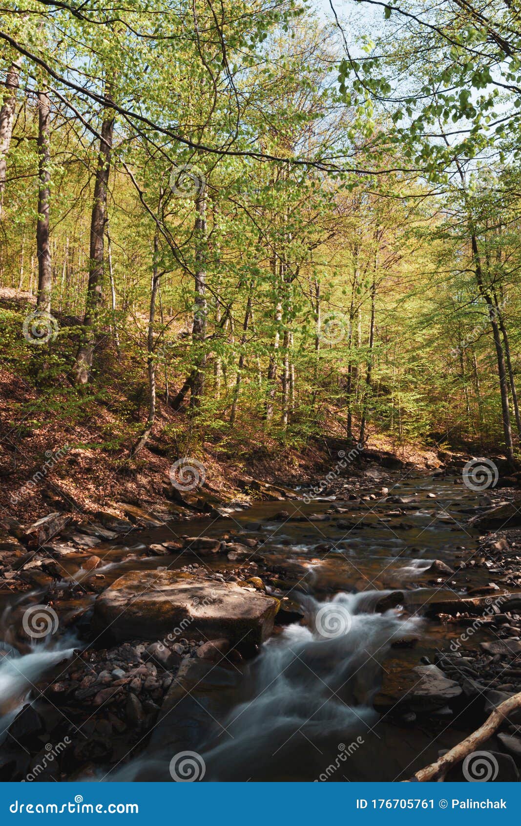 Mountain stream stock image. Image of outdoor, calm - 176705761