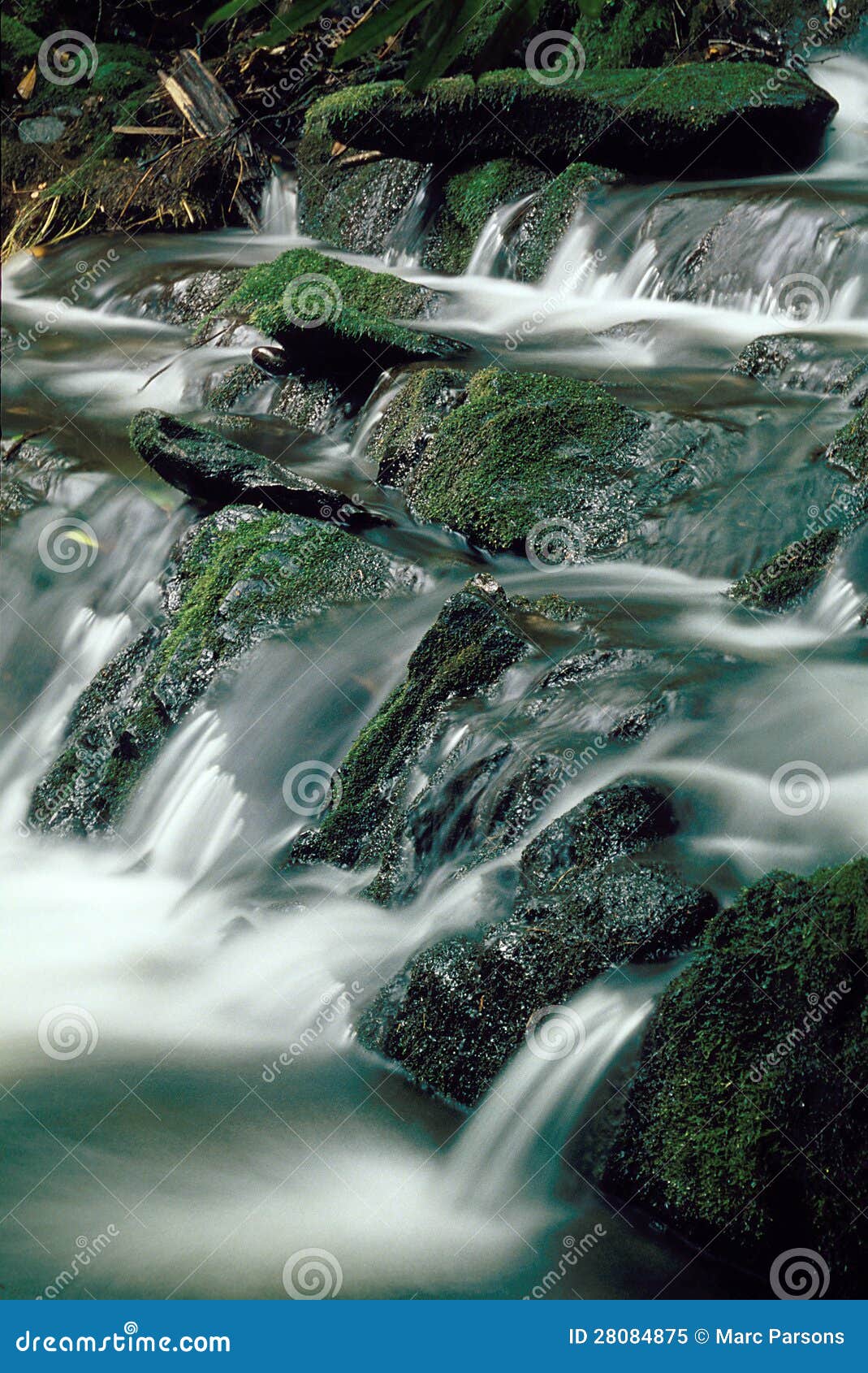 Mountain Stream Over Mossy Rocks Stock Image - Image of creek, mountain ...