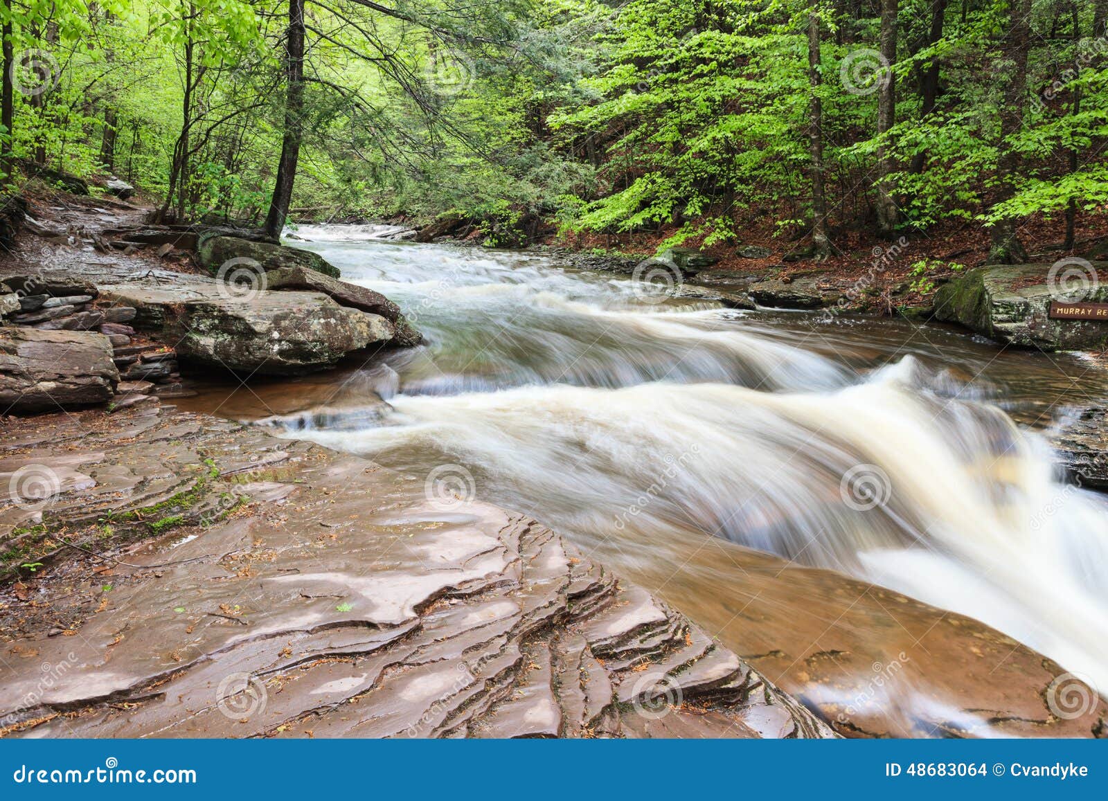 Mountain Stream Pennsylvania Stock Photo - Image of green, creek: 48683064