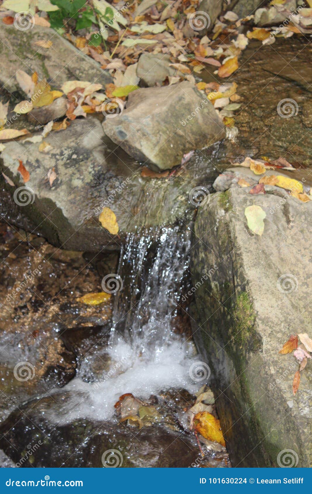 Mountain Streem Making Ist Way Through Wooded Hills Royalty-Free Stock ...