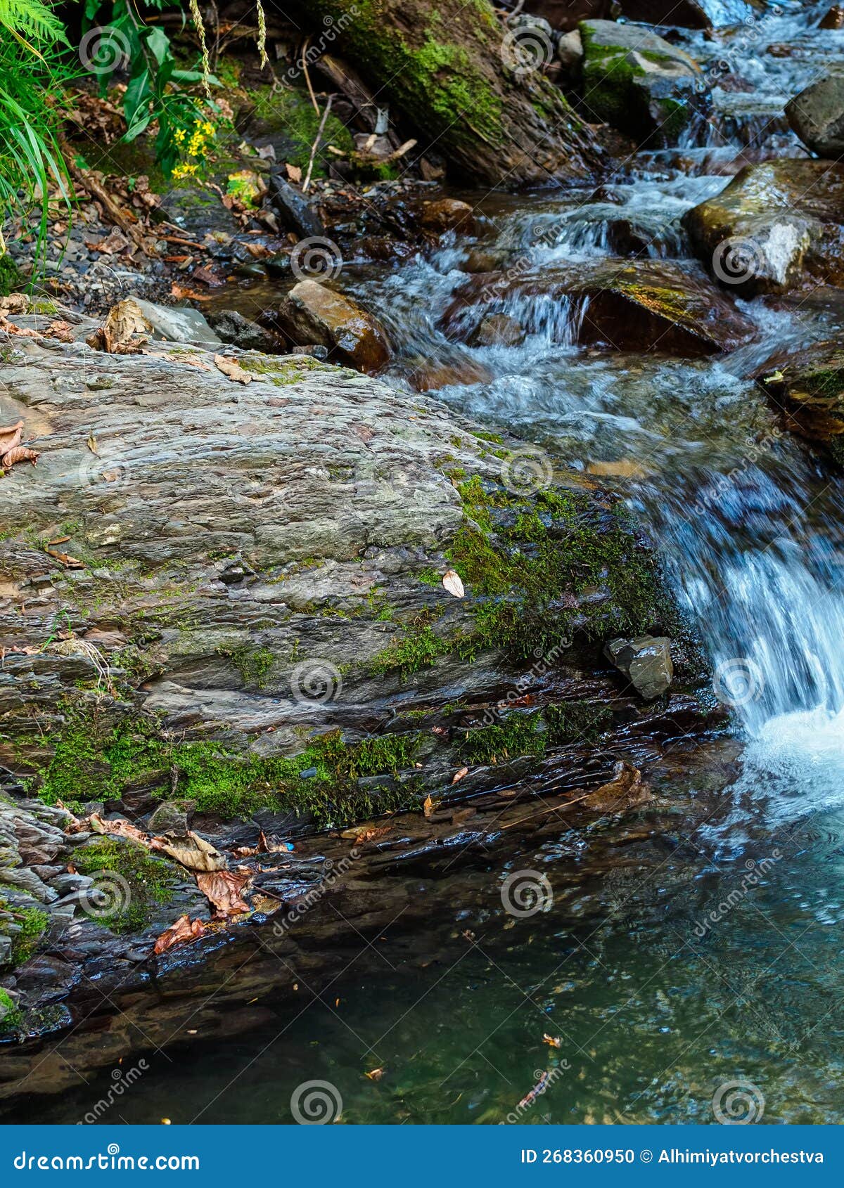 Mountain Stream with Rapids Stock Photo - Image of stream, scenic ...