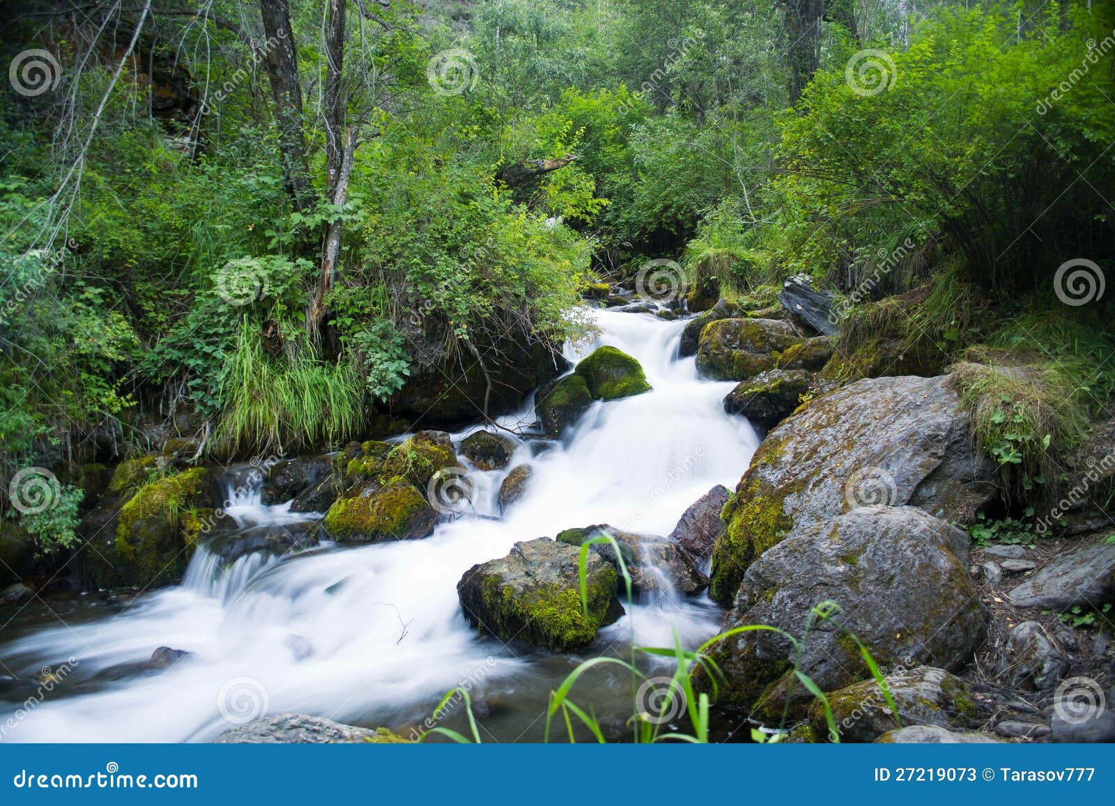 Mountain Stream. River of Milk Stock Image - Image of splashes, spring ...