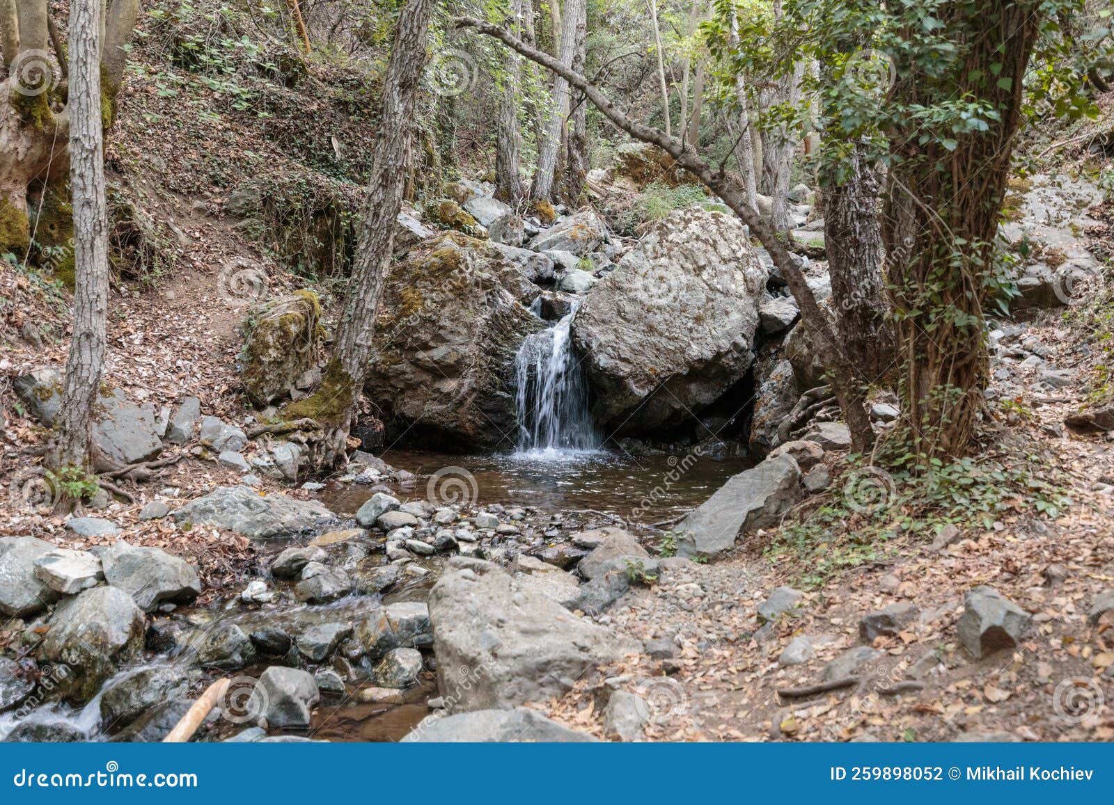 Mountain Stream River with Riffles in Forest Stock Photo - Image of ...