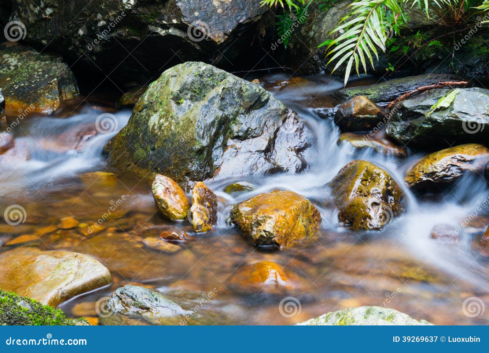 Mountain stream stock image. Image of boulder, nature - 39269637