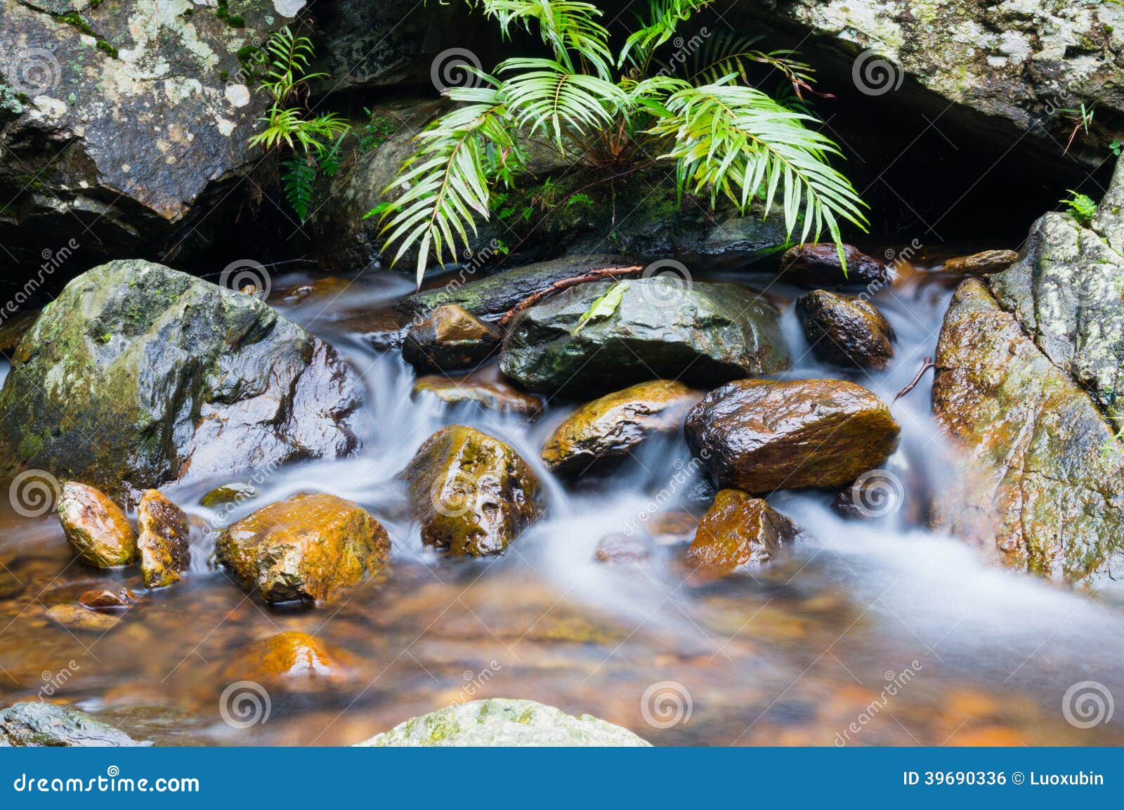 Mountain stream stock photo. Image of plant, rock, landscape - 39690336