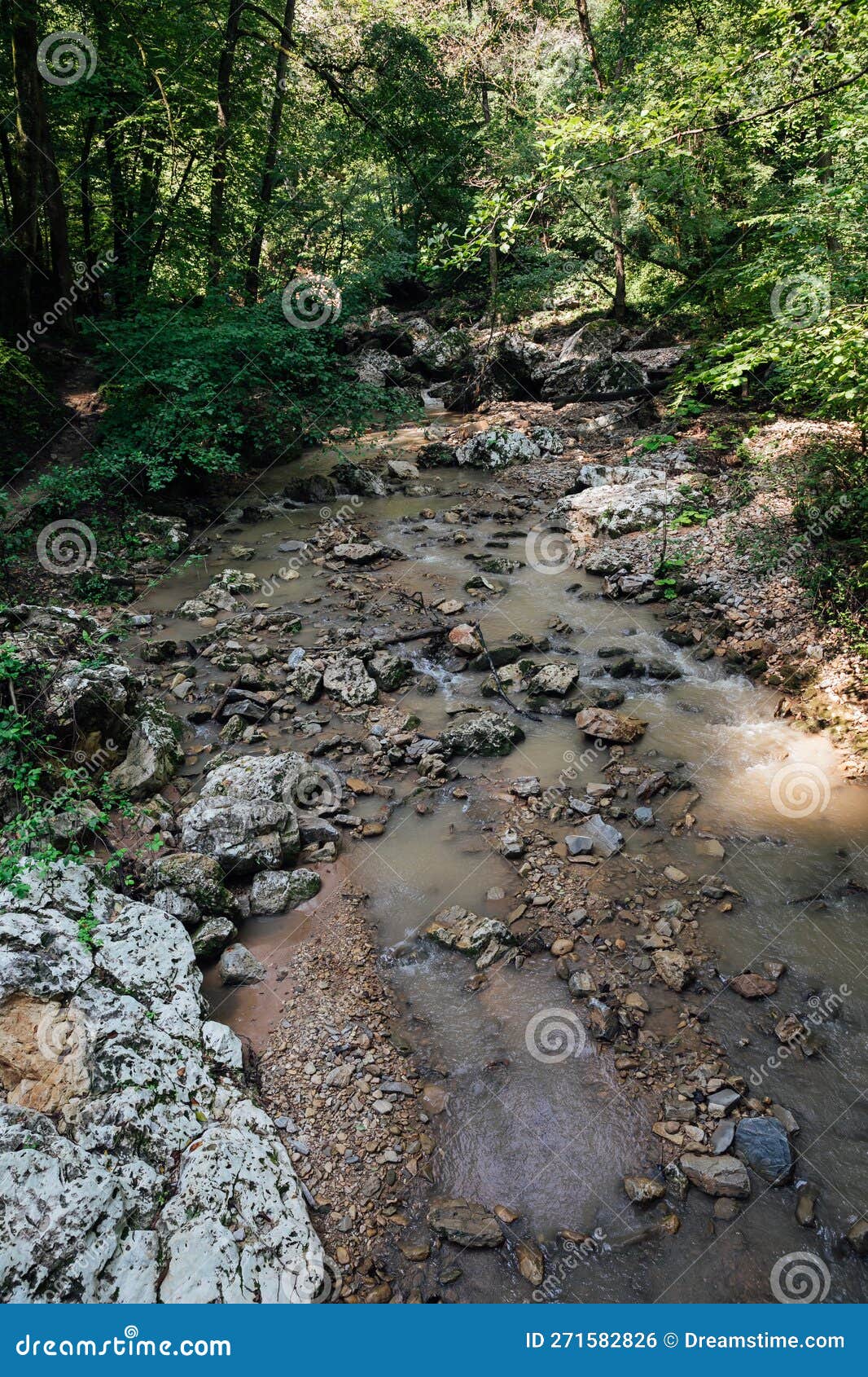 Mountain Stream among the Rocks in the Forest in Nature Journey Hiking ...