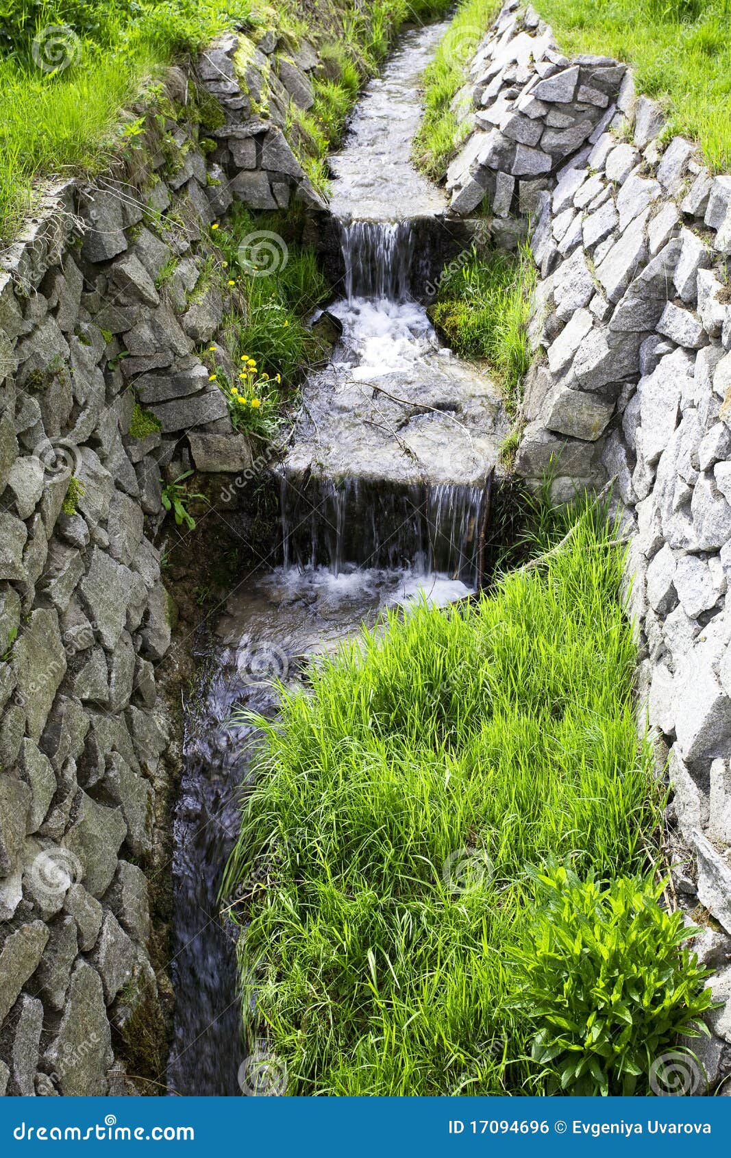 Mountain Stream Running through Stock Photo - Image of scene, stream ...