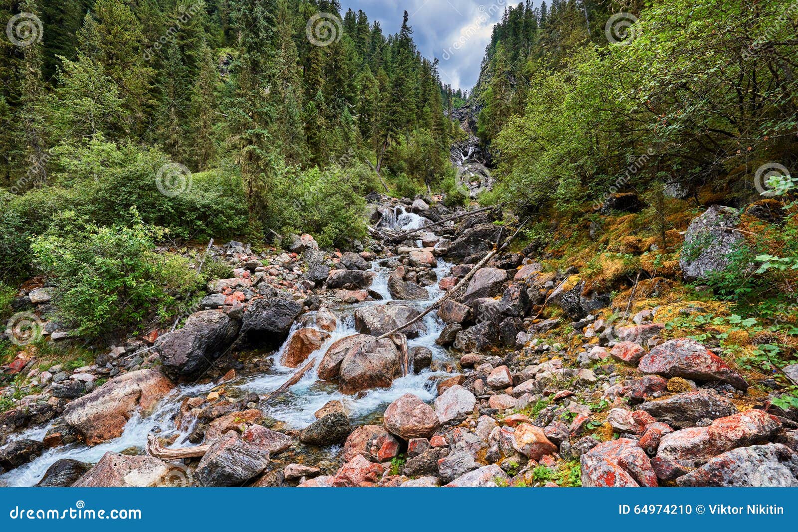 Mountain Stream Running in the Narrow Forest Gorge Stock Photo - Image ...