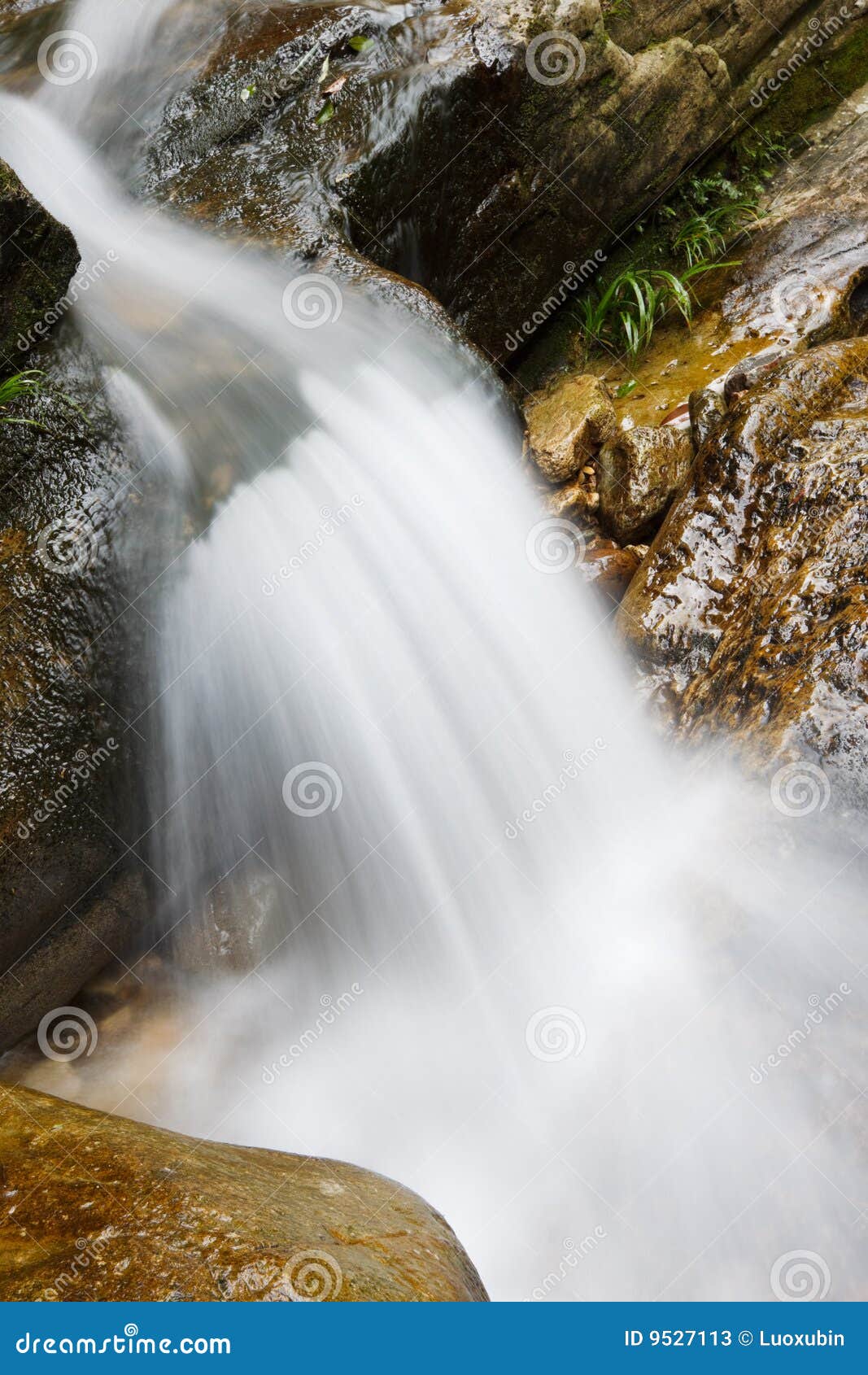 Mountain Stream Running Over Rocks Stock Image - Image of arroyo ...