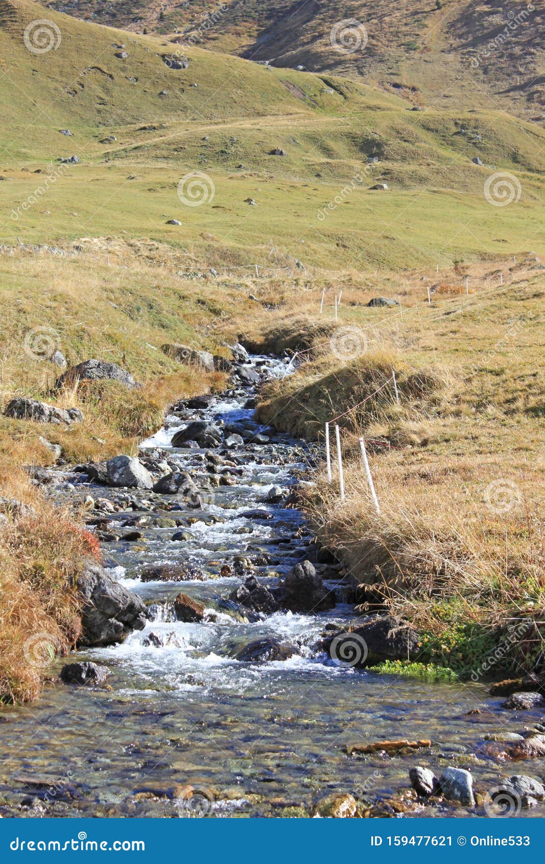 Mountain Stream Running Trough Alpine Pastures Stock Image - Image of ...