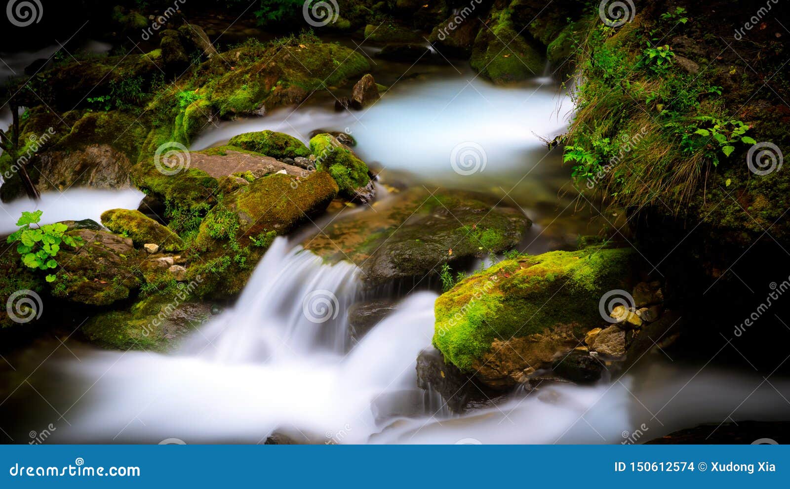 Ravine stream stock photo. Image of secrate, chinese - 150612574