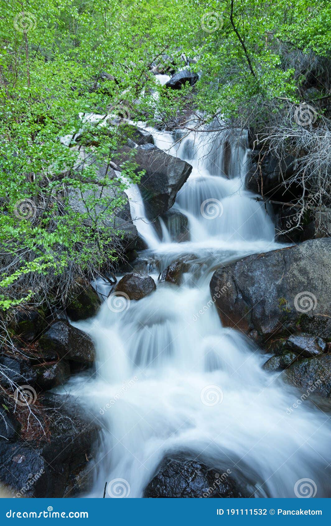 Smooth Mountain Stream Waterfall Stock Photo - Image of nevada, water ...