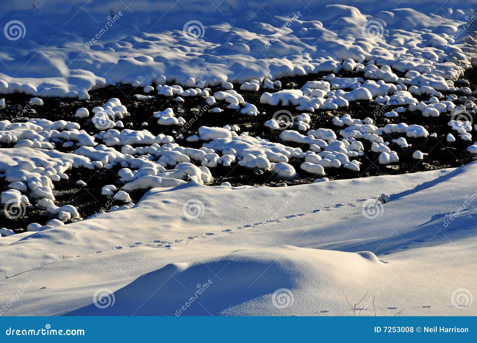 Mountain Stream with Snow on the Pebbles Stock Photo - Image of cold ...