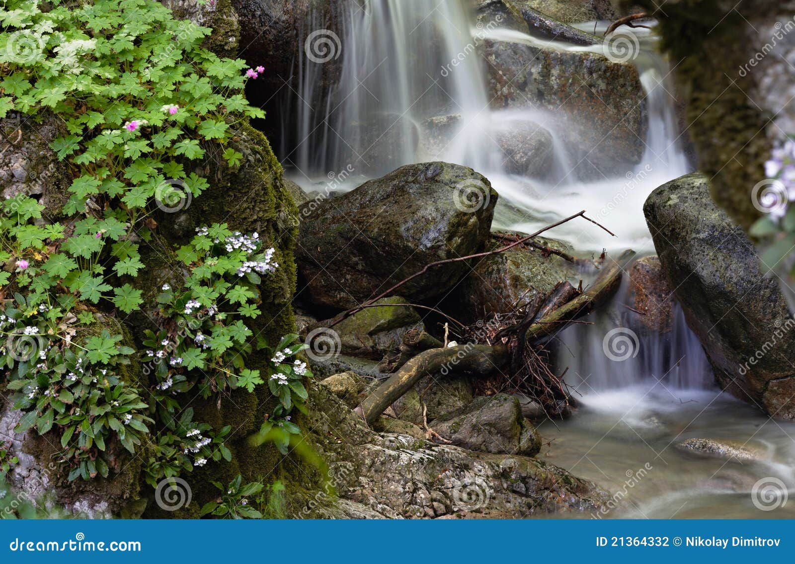 Mountain Stream and Spring Forest Flowers Stock Photo - Image of forest ...
