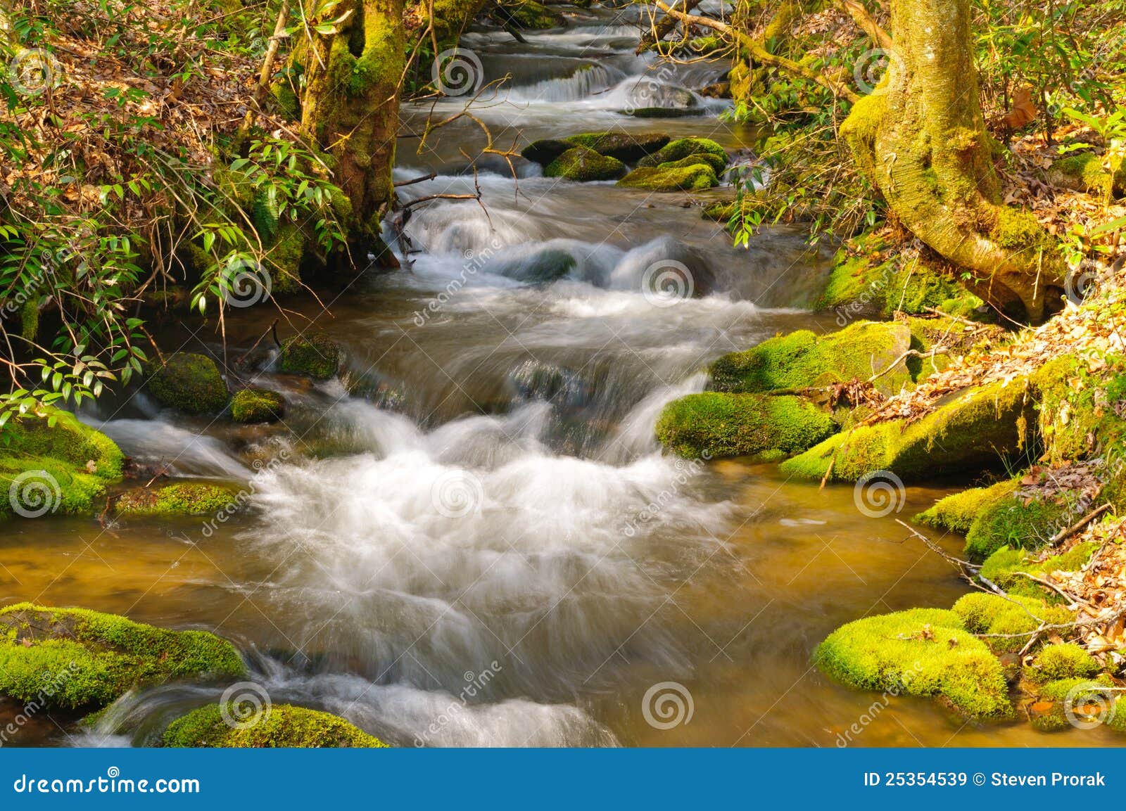 Mountain Stream on a Spring Morning Stock Image - Image of appalachian ...