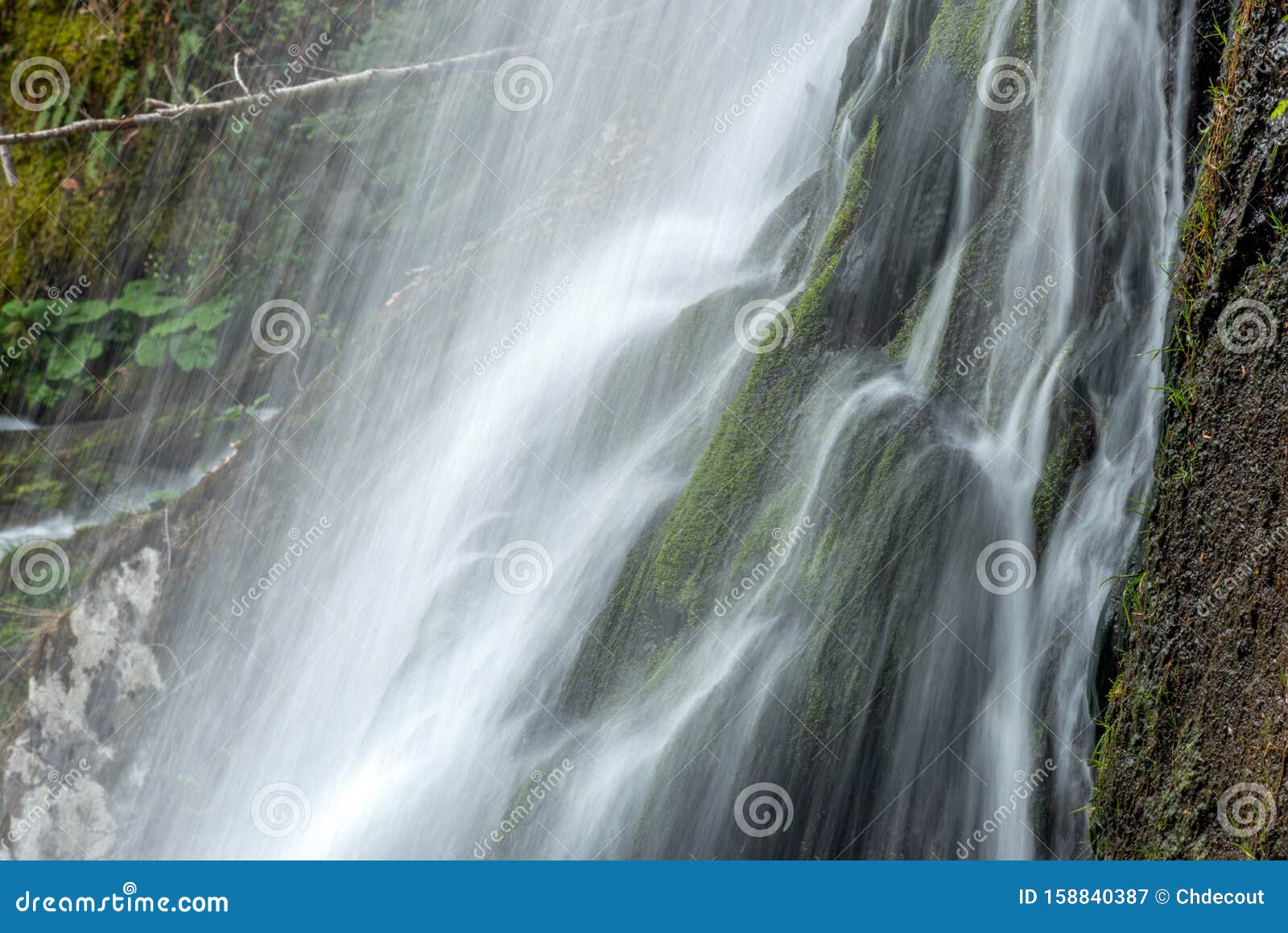 Mountain Stream in the Spring Stock Image - Image of vegetation ...