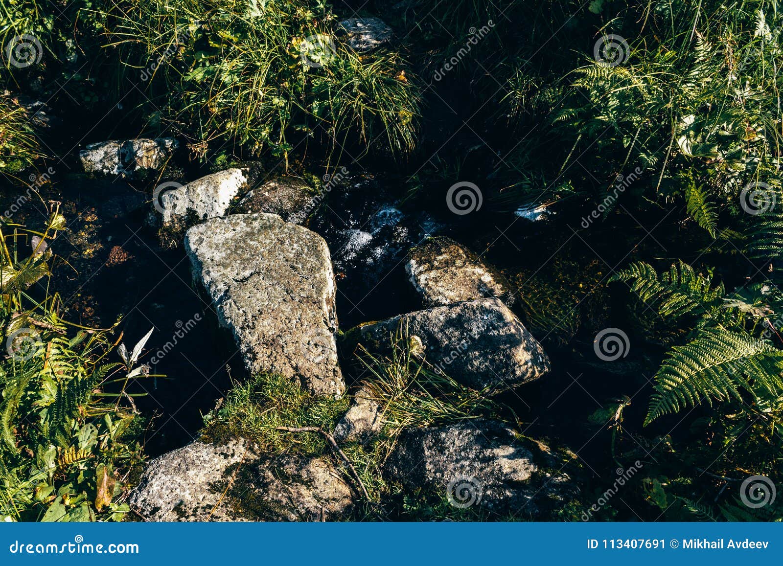 Mountain Stream, a Spring in the Rocks Stock Image - Image of stream ...
