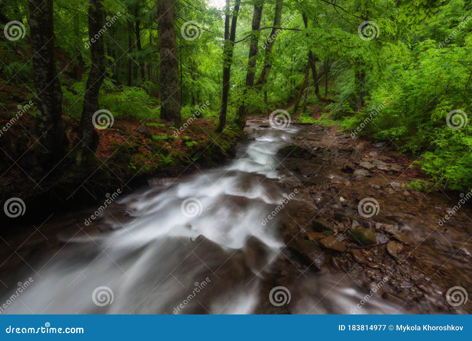 Mountain Stream in the Spring. Smoky Mountains Stock Image - Image of ...