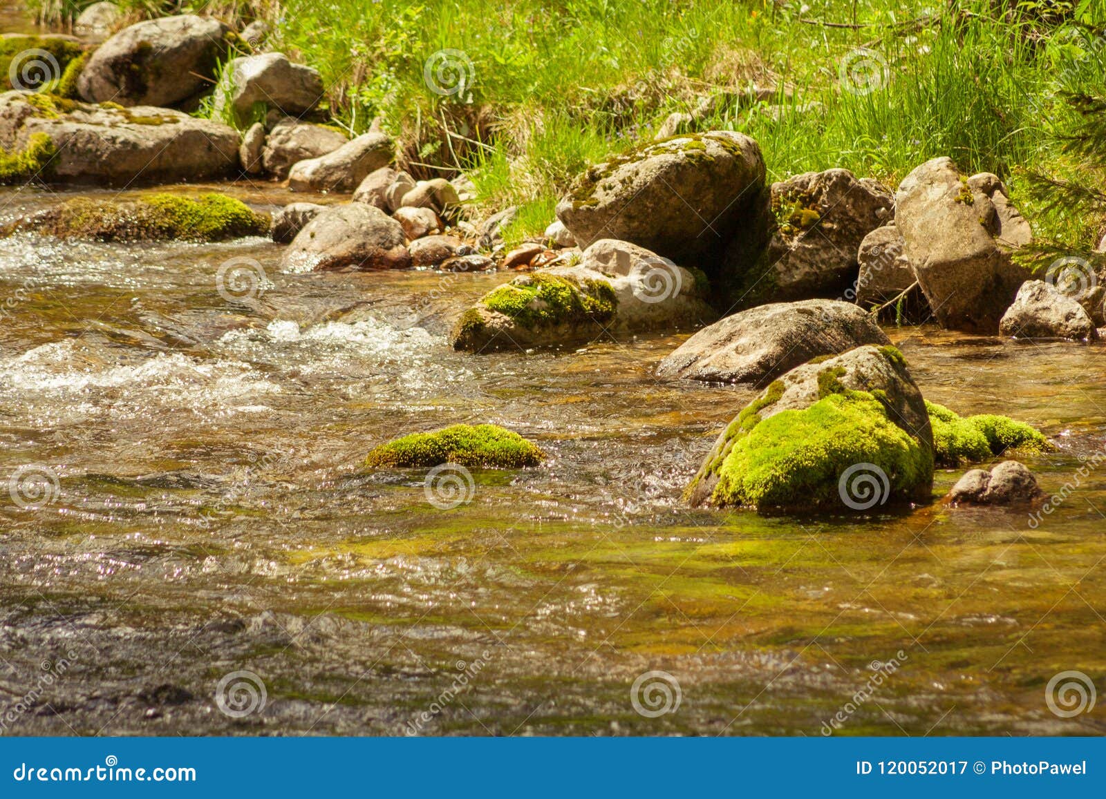 Mountain Stream and Stones Covered with Moss Stock Image - Image of ...