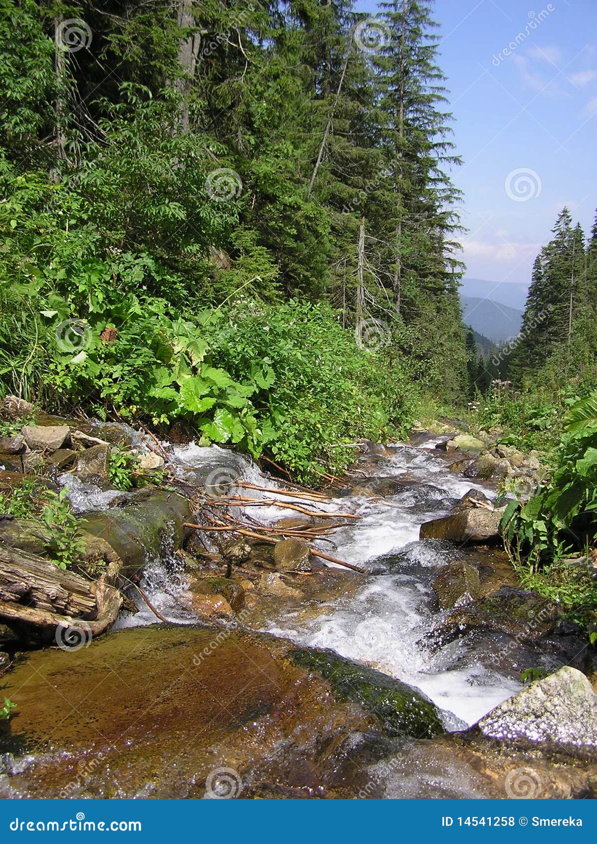 Mountain Stream in the Summer. Stock Photo - Image of stream, current ...