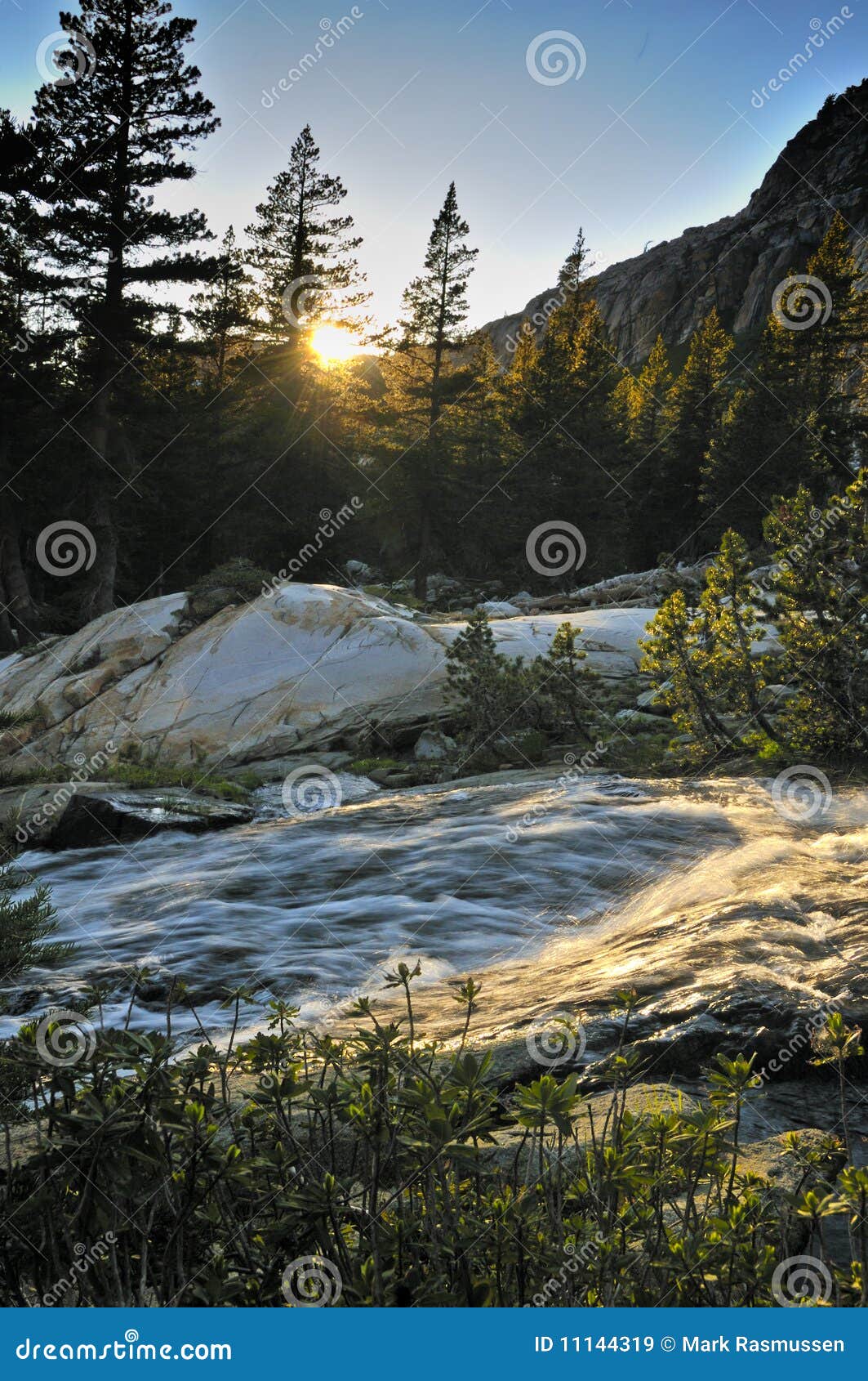 Mountain Stream at Sunset stock image. Image of forest - 11144319