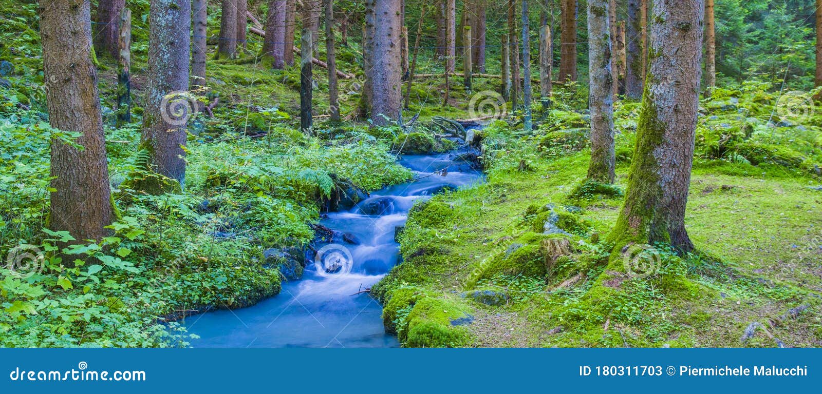 Mountain Stream Surrounded by Greenery and Woods Stock Image - Image of ...