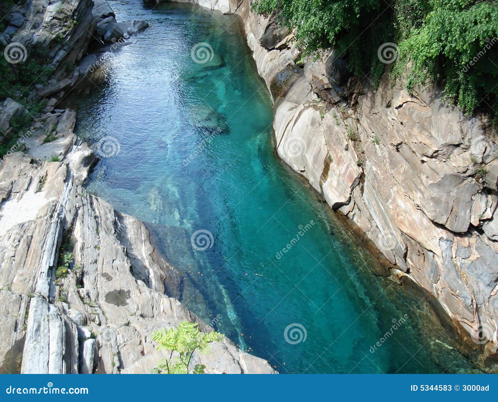 Mountain Stream in the Swiss Alps Stock Image - Image of europe, green ...