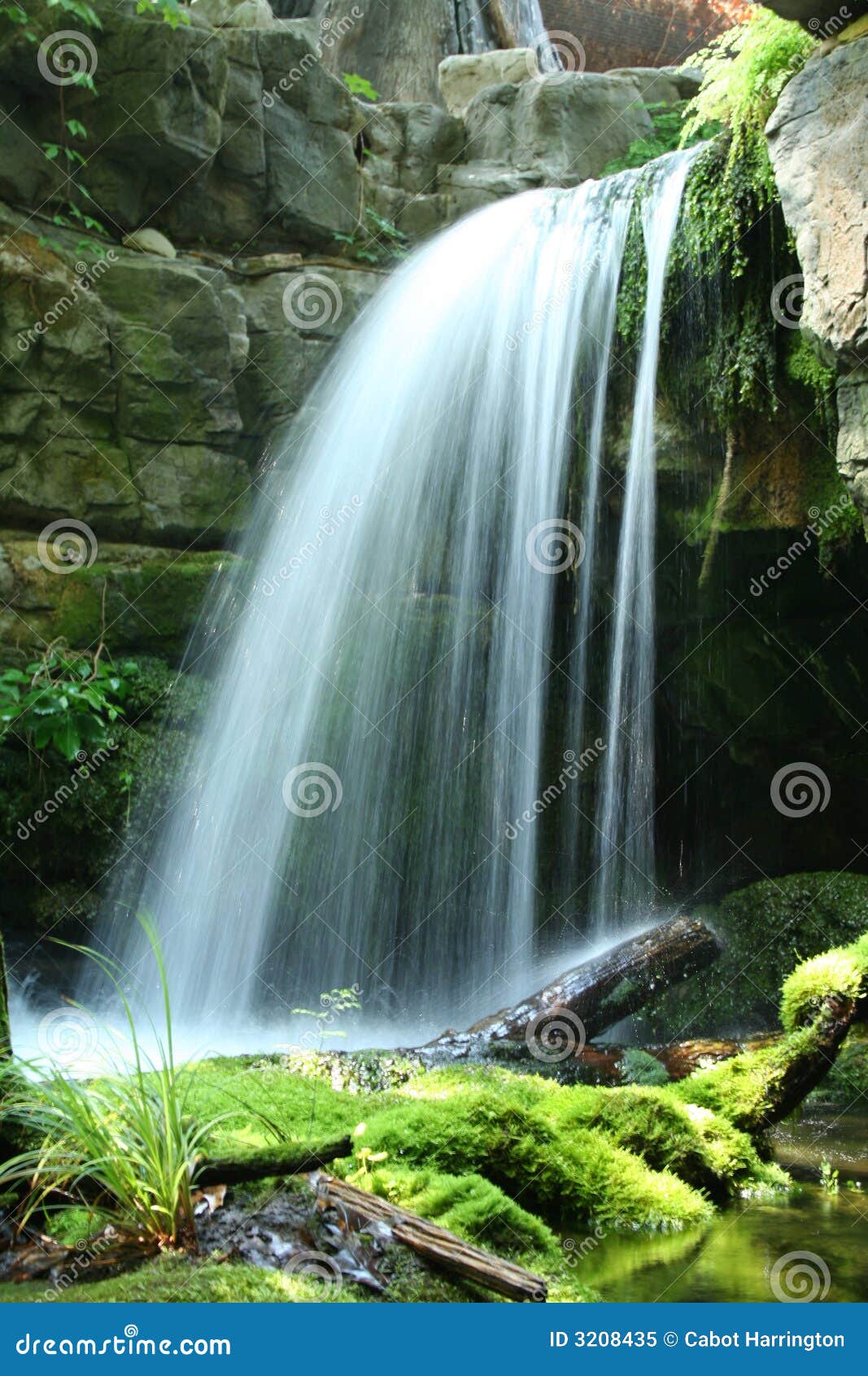 Stream Display Tennessee Aquarium Stock Photos - Free & Royalty-Free ...