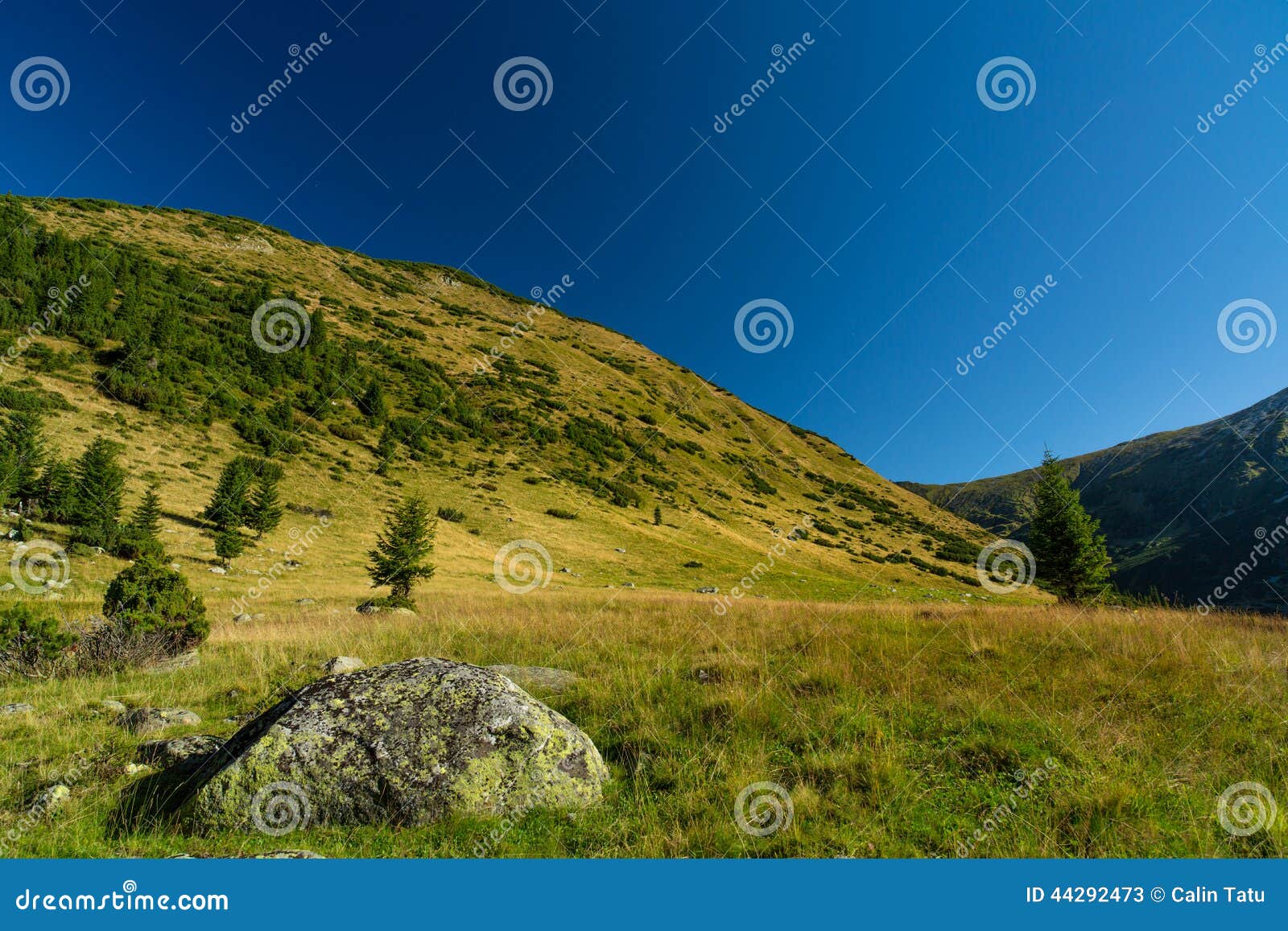 Mountain Stream in the Transylvanian Alps Stock Image - Image of ...