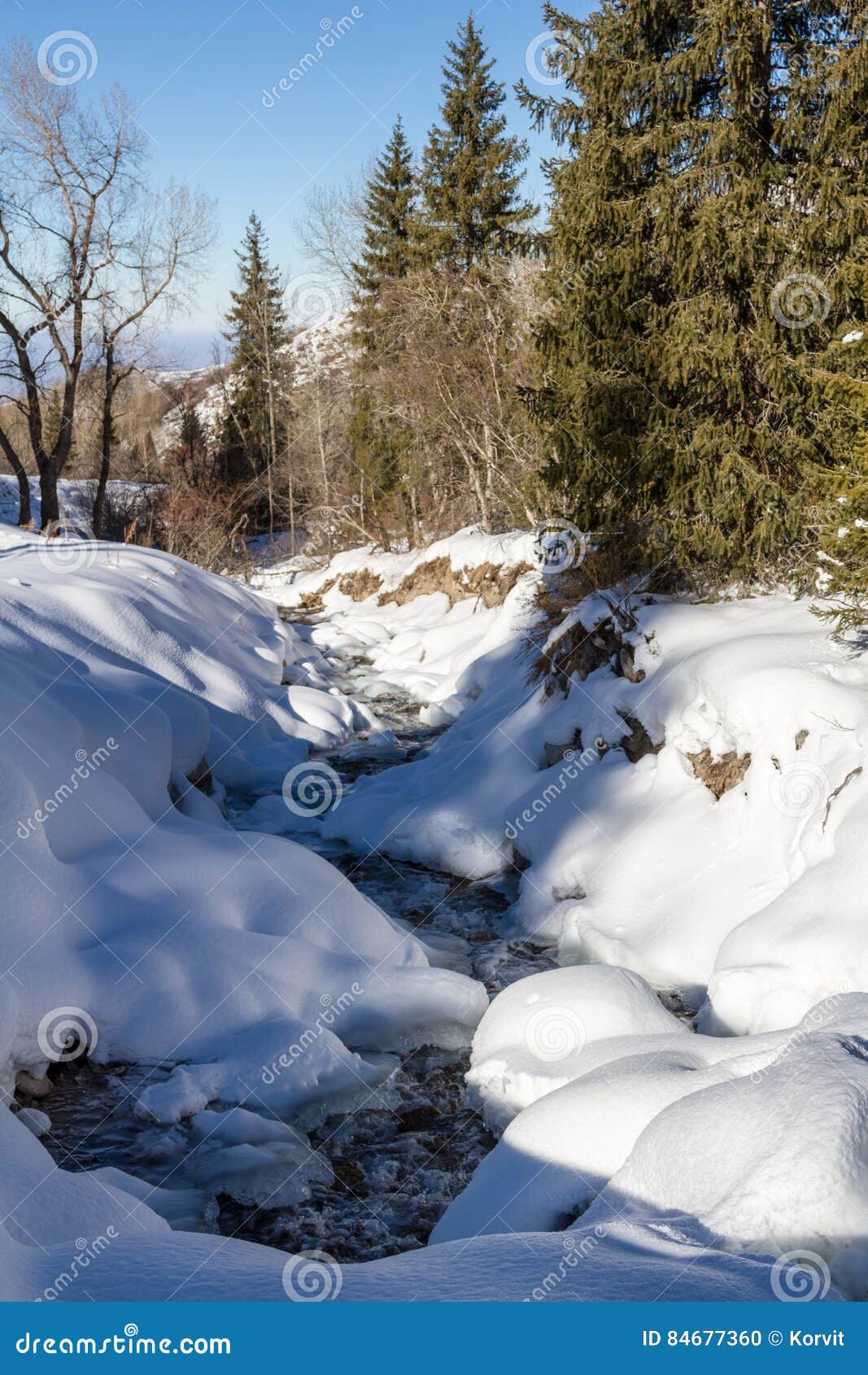 Mountain Stream Under the Snow Stock Photo - Image of frosty, creek ...