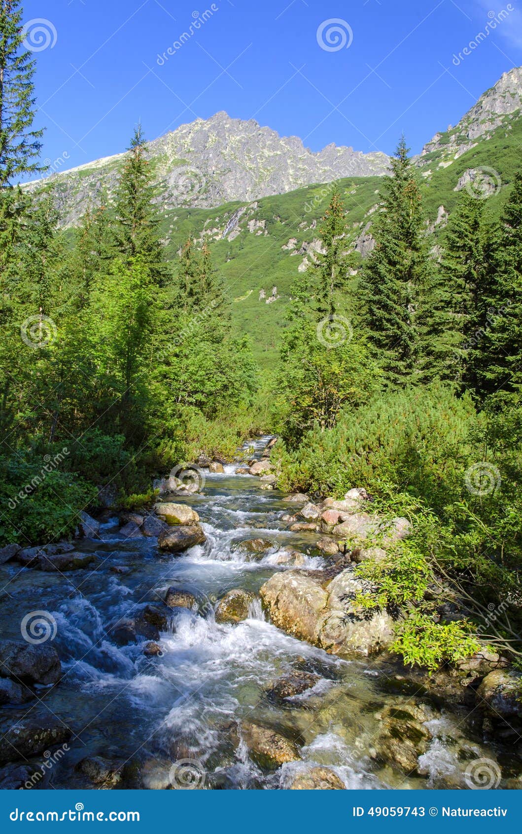 Mountain stream stock image. Image of hiking, blue, mountains - 49059743