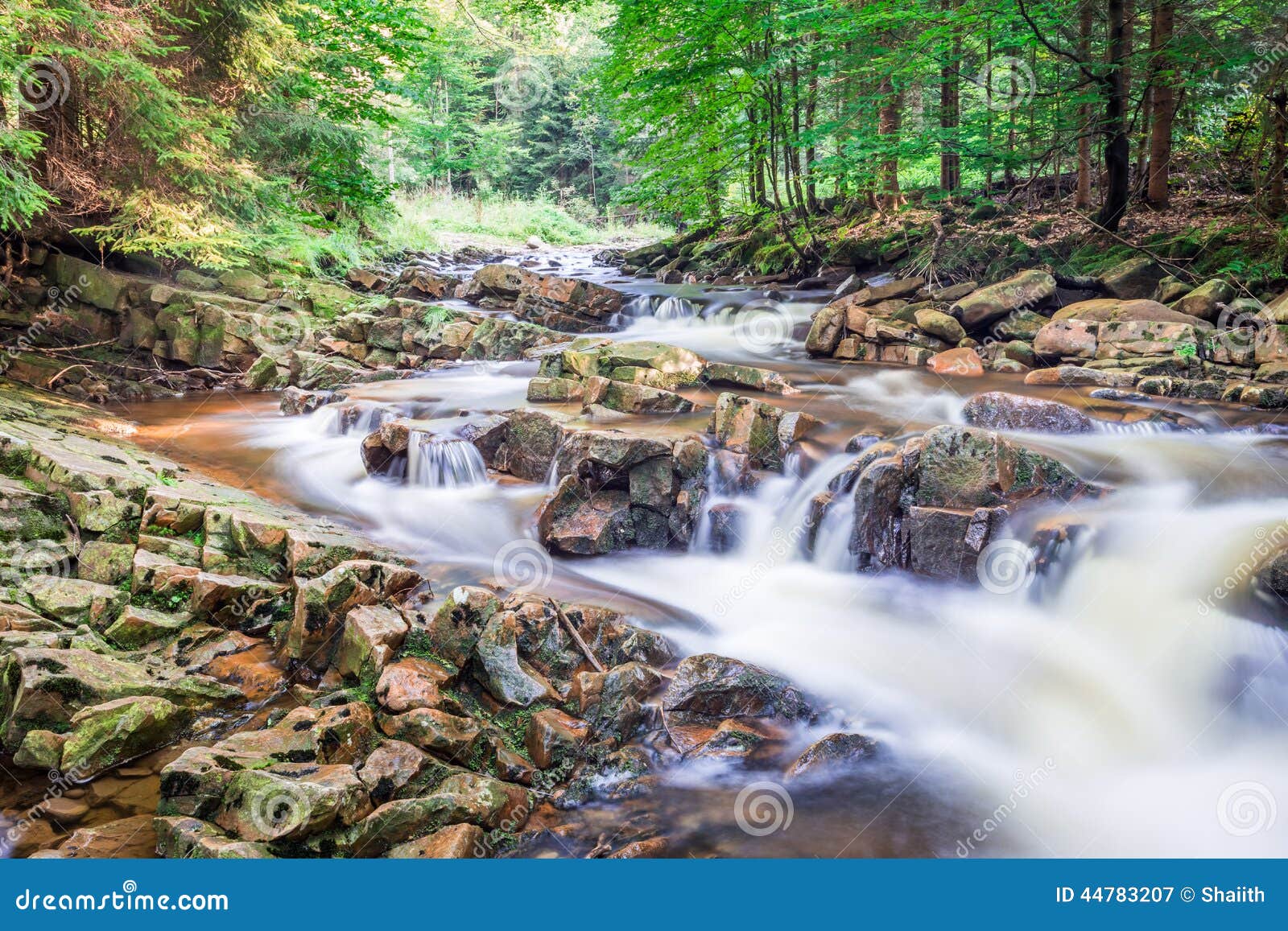 Mountain Stream with Views of the Forest Stock Image - Image of forest ...
