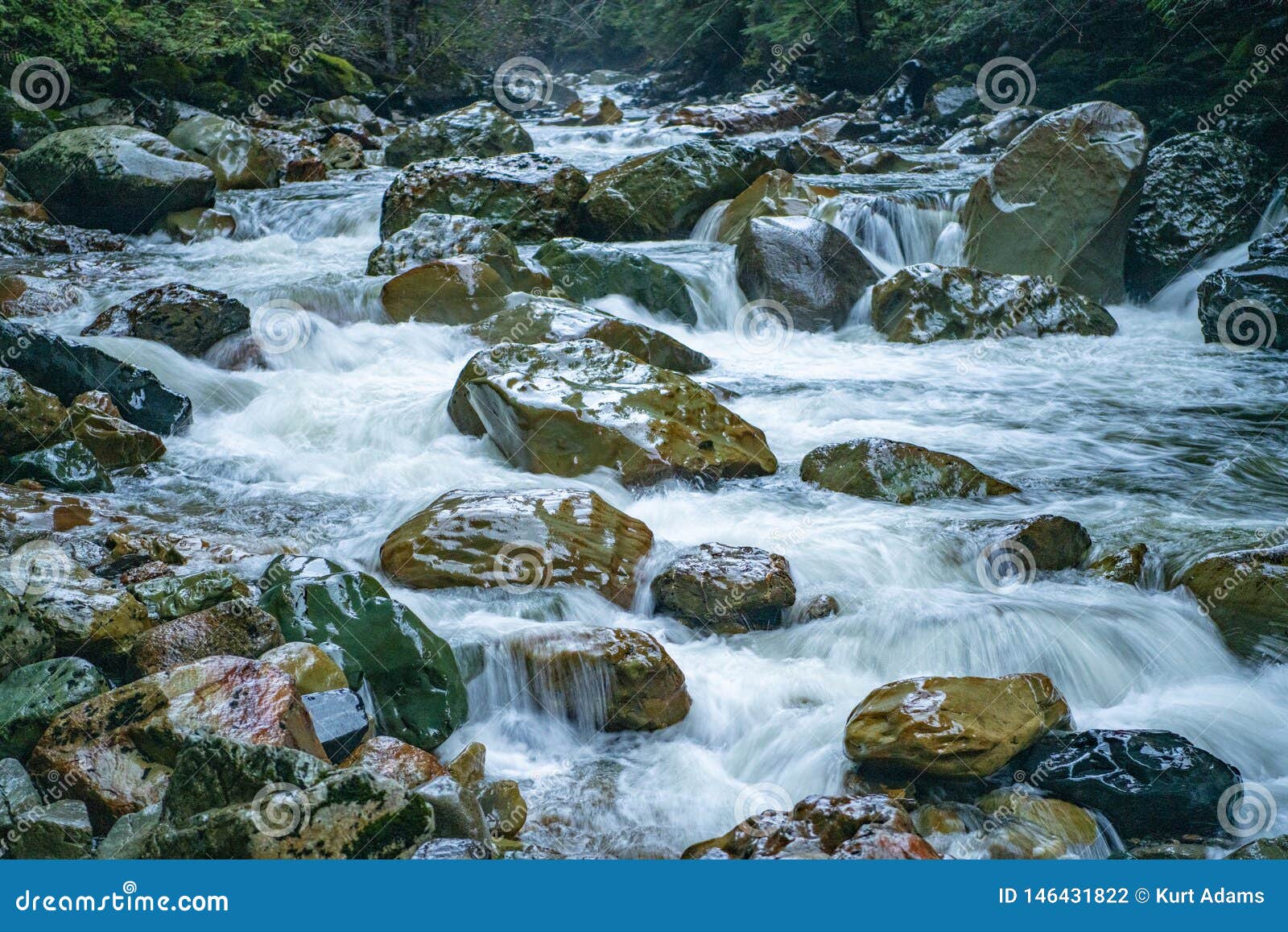 Mountain Stream - Washington State Stock Photo - Image of river, water ...