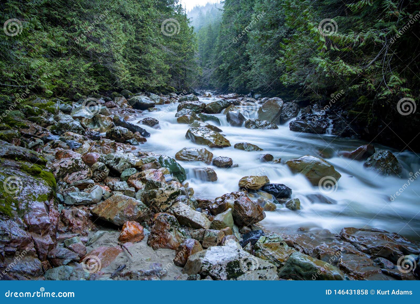 Mountain Stream - Washington State Stock Photo - Image of stream, time ...