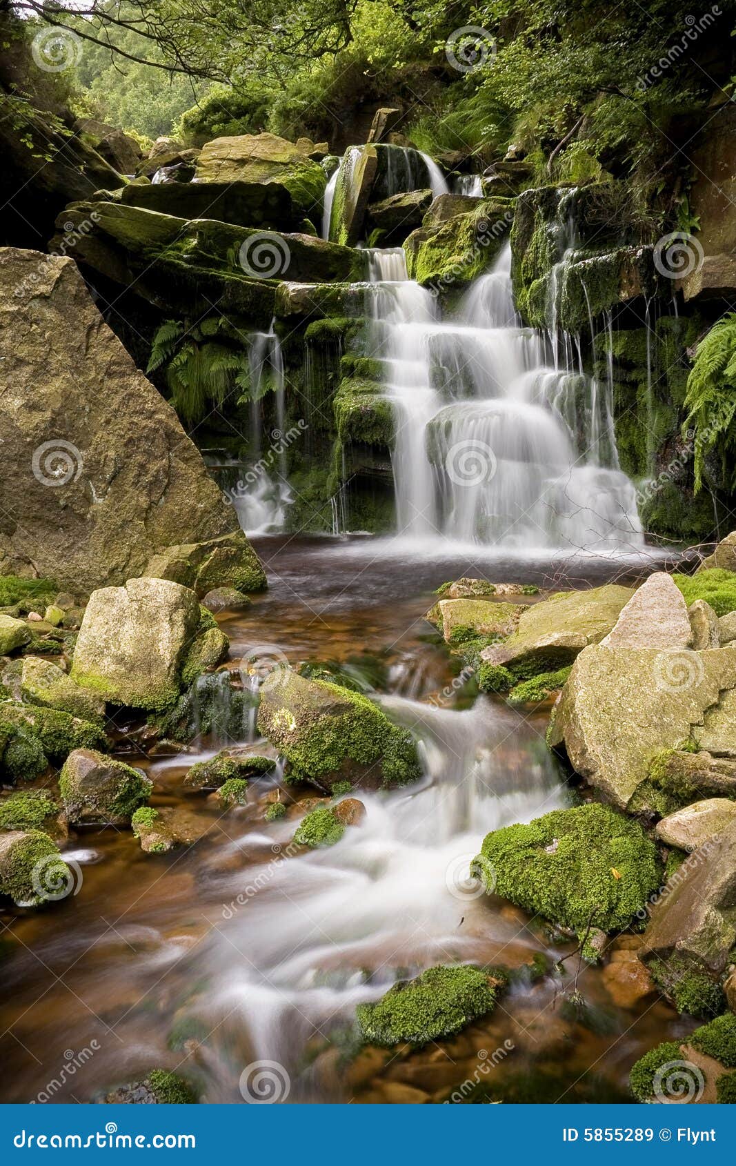 Mountain stream waterfall stock image. Image of forest - 5855289