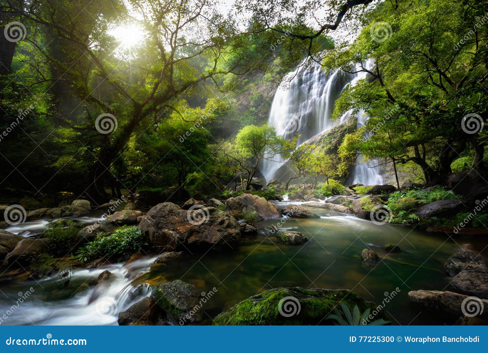 Mountain Stream and Waterfall Stock Photo - Image of cascade, green ...