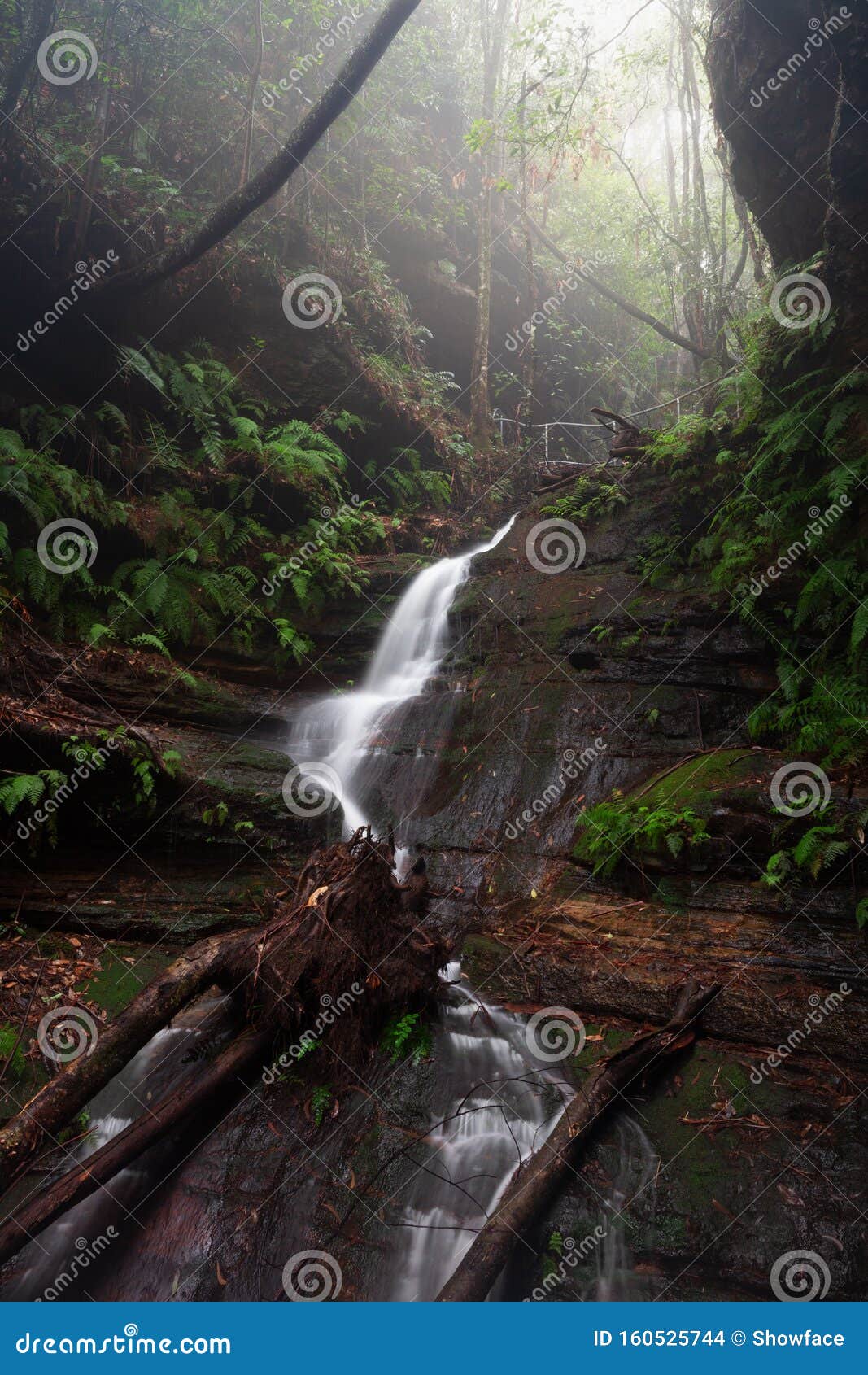 Mountain Stream and Waterfall in Blue Mountains Stock Photo - Image of ...